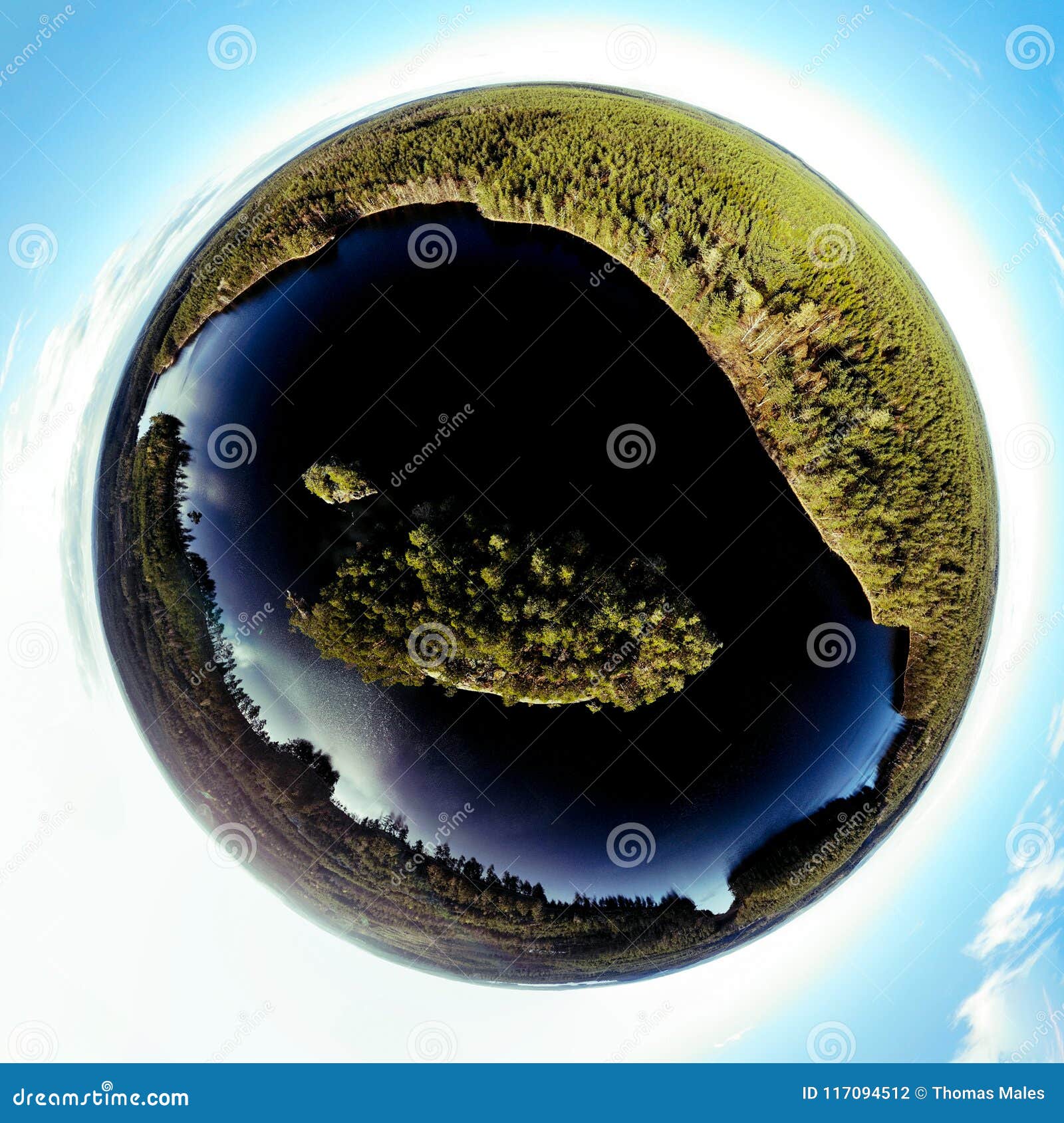 Tiny earth Wild landscape stock photo. Image of tree - 117094512