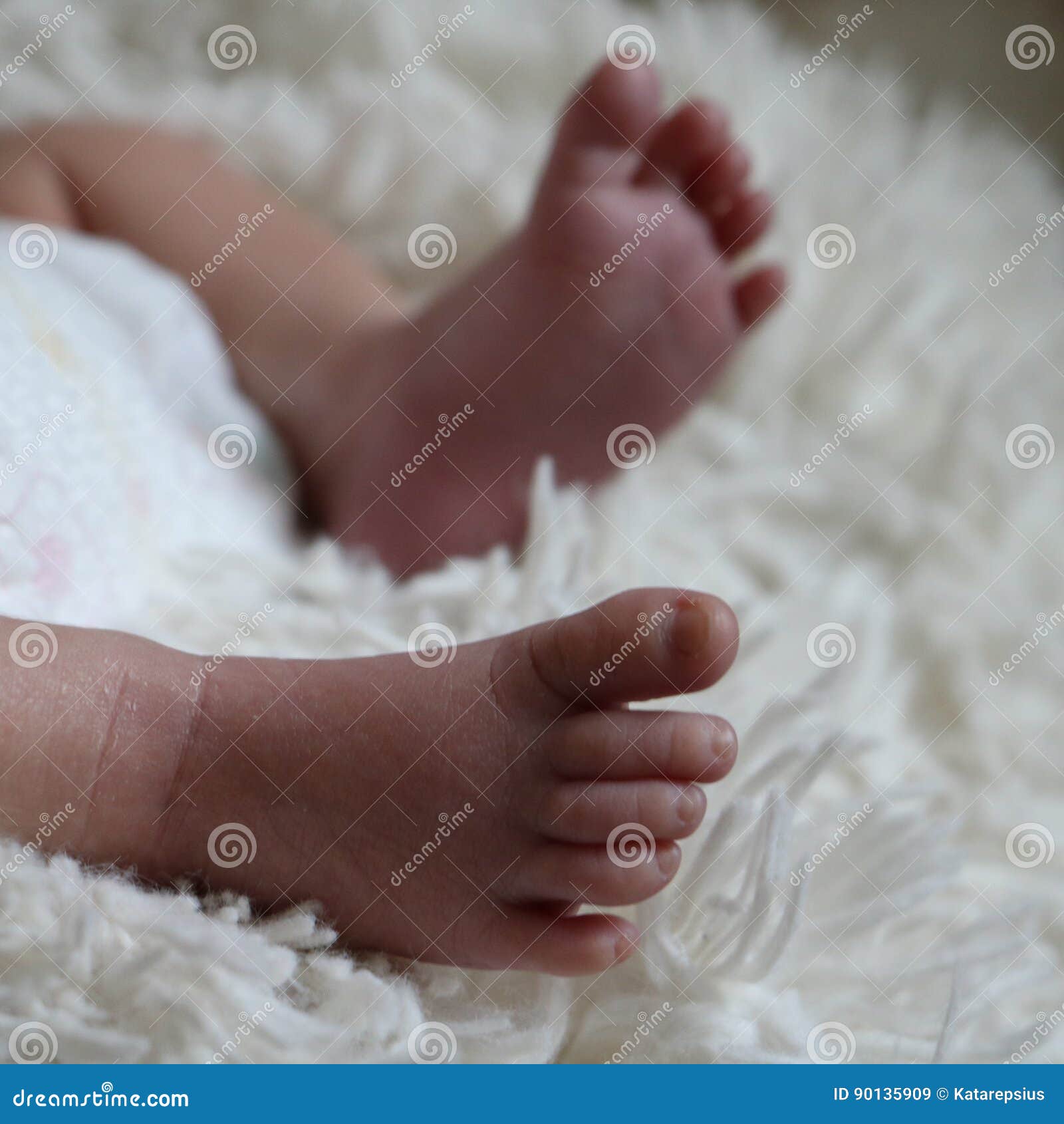 Tiny feet stock image. Image of feet, baby, newborn, tiny - 90135909