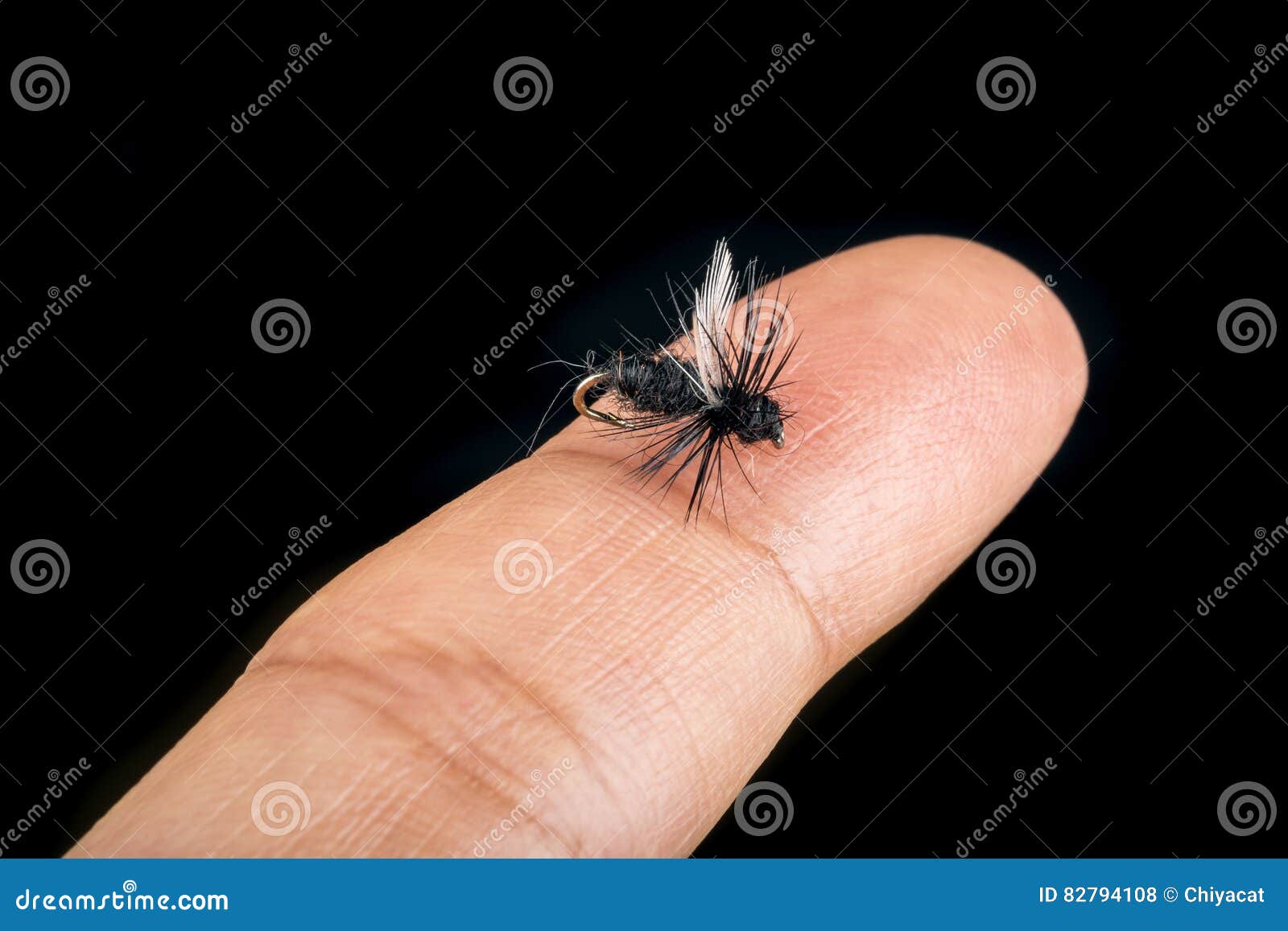 Tiny Fishing Fly on Finger Tip Isolated on Black Stock Photo - Image of ...