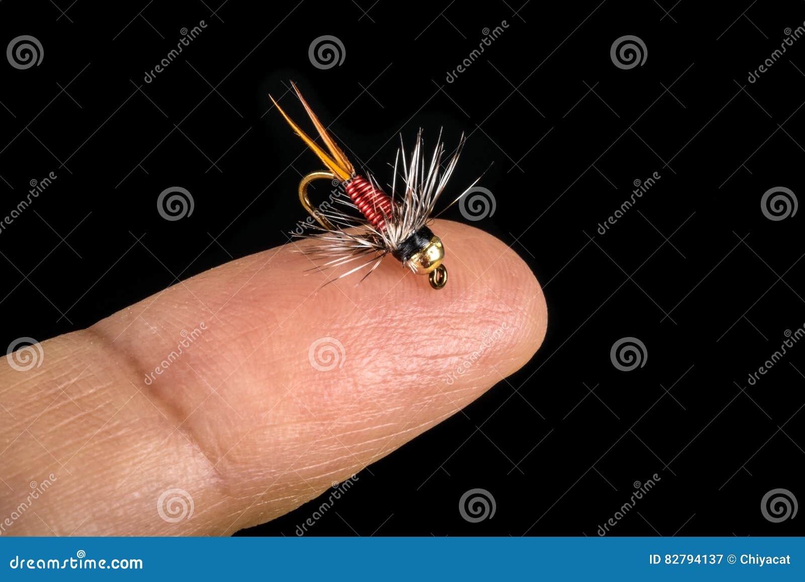 Tiny Fishing Fly on Finger Tip Isolated on Black Stock Image - Image of ...
