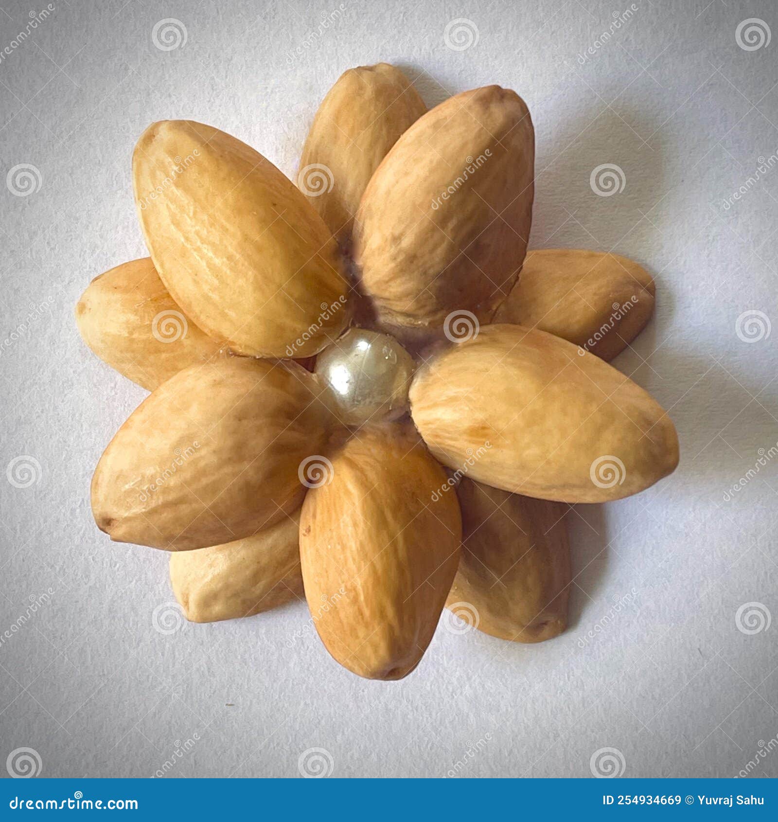 A Tiny Flower Made from Pistachio Shell Stock Image - Image of ...