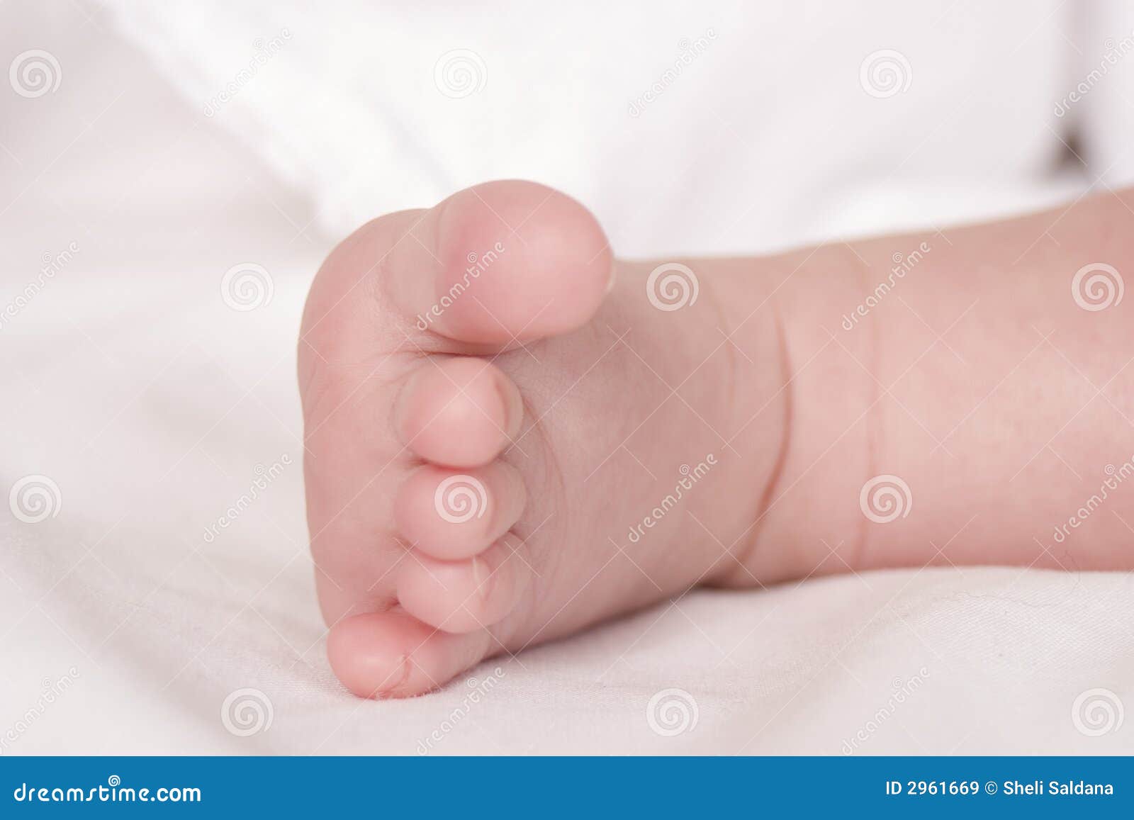 Tiny Foot and Toes stock image. Image of small, feet, toes - 2961669