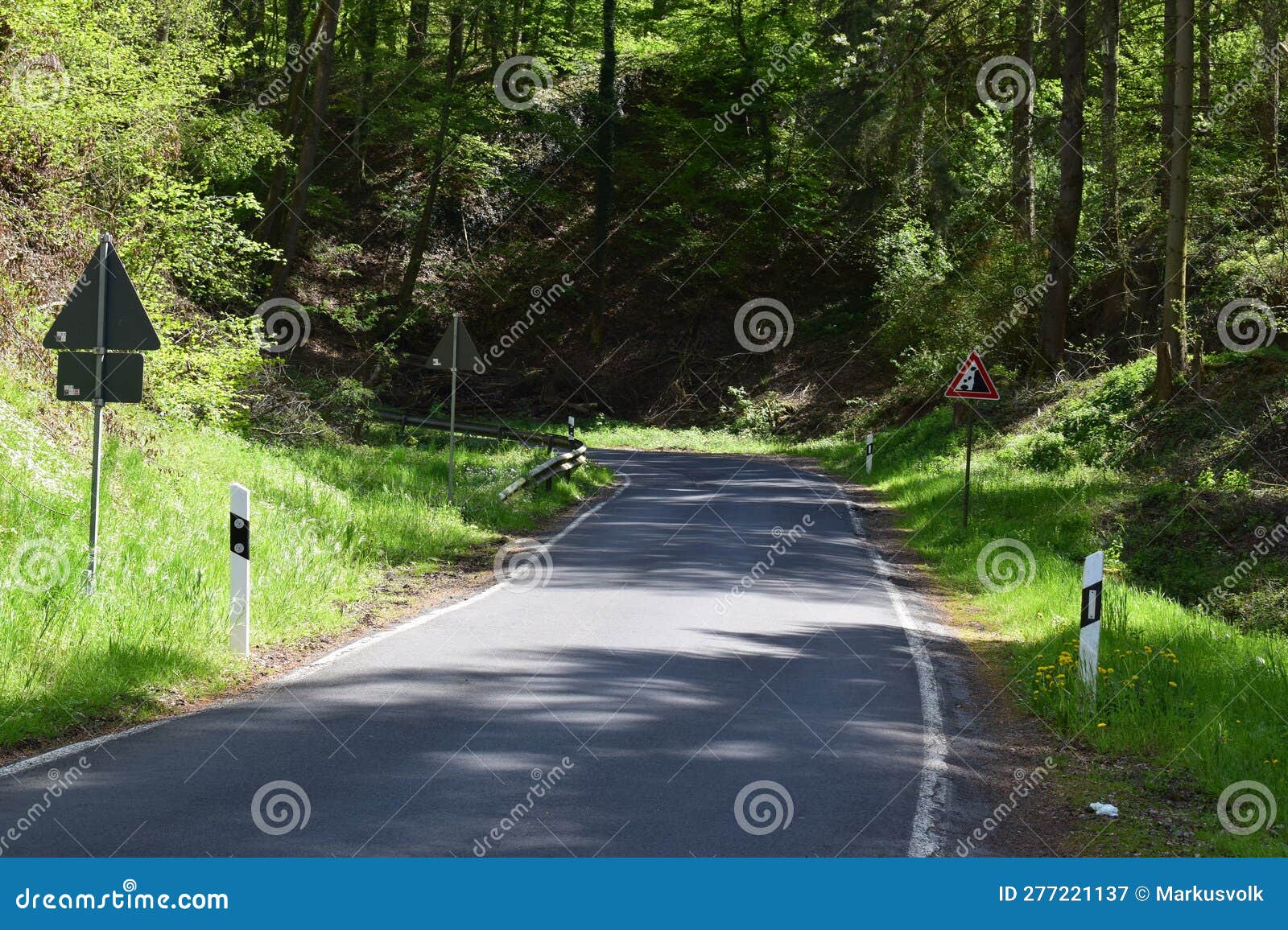 Tiny Forest Road in Spring Green Forest Stock Image - Image of walkway ...