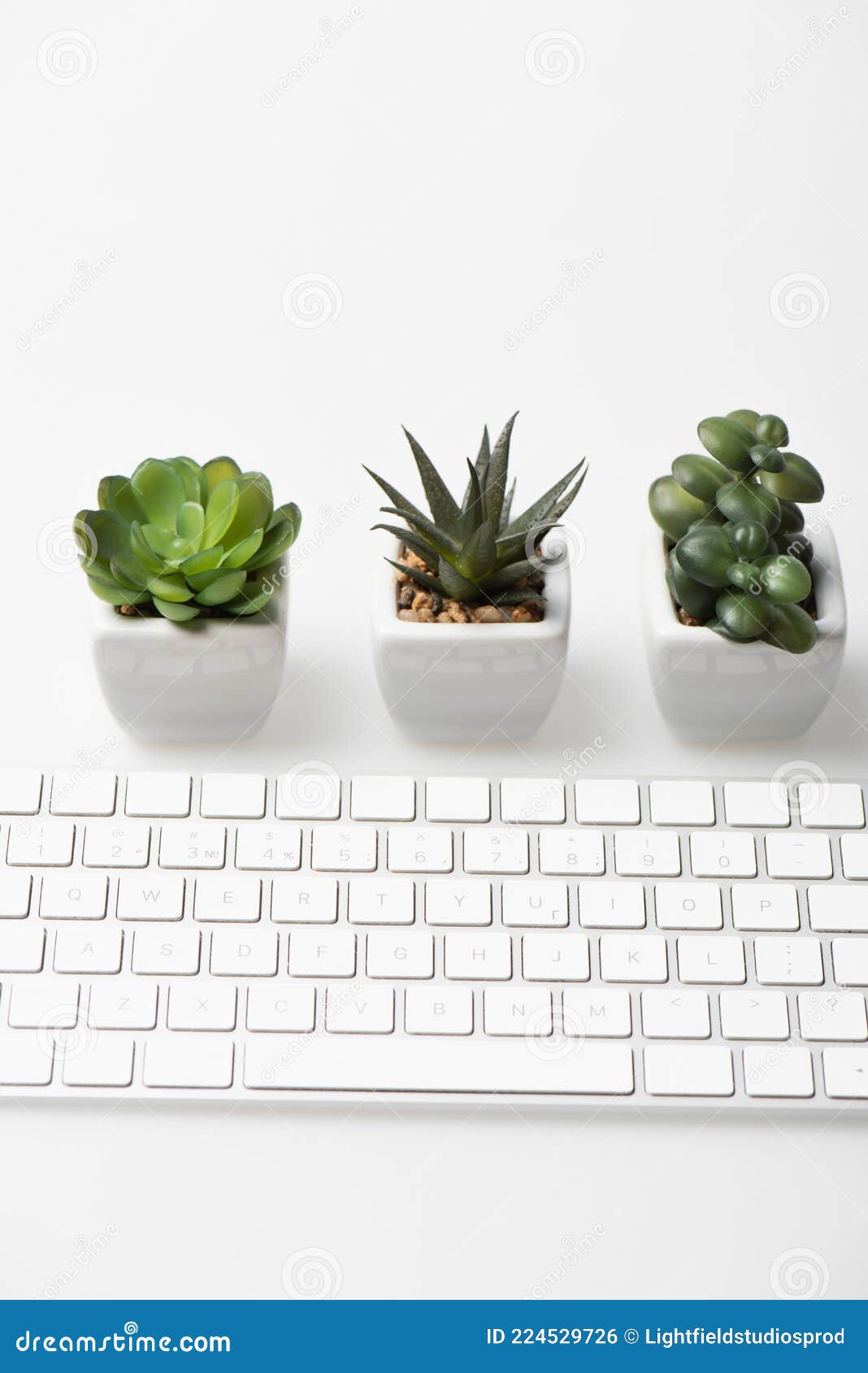 Tiny Green Plants and Computer Keyboard Stock Photo - Image of ...