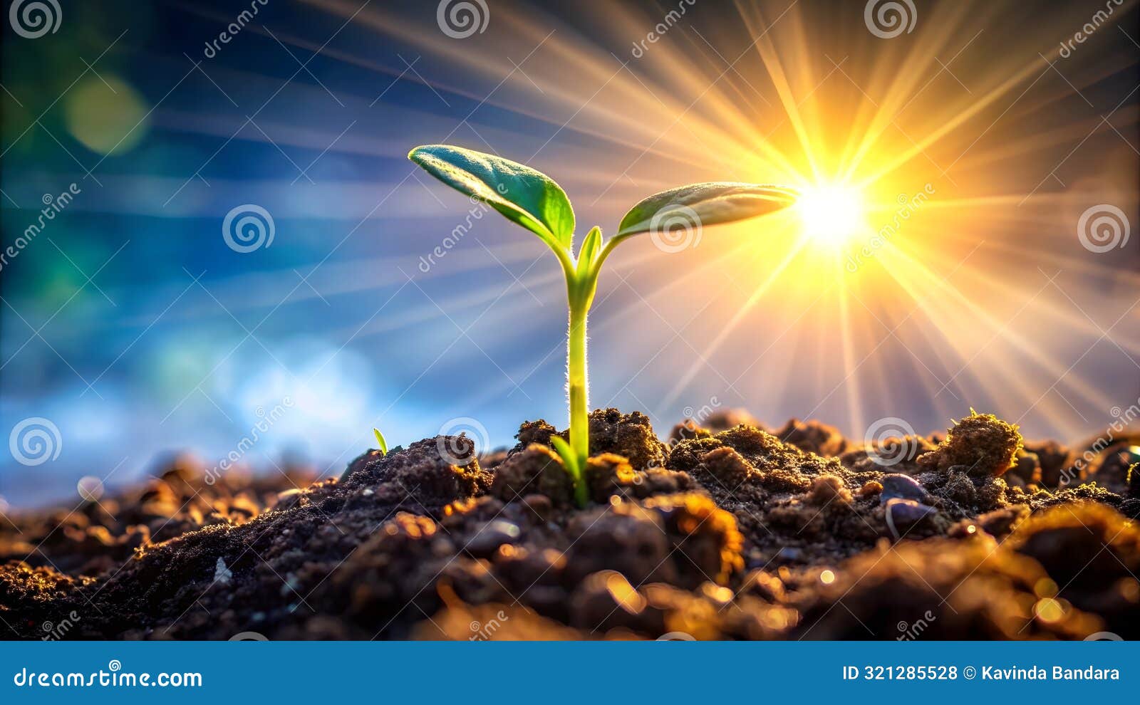 Tenacious Tiny Sprout: Defying the Odds Stock Illustration ...