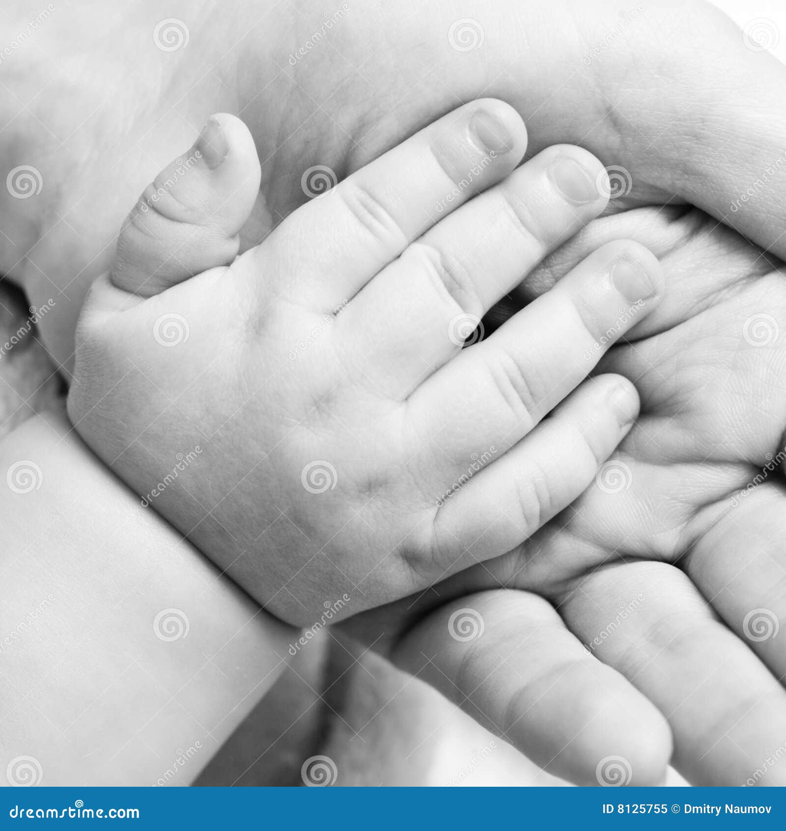 Tiny hand stock image. Image of delicate, gentle, palm - 8125755