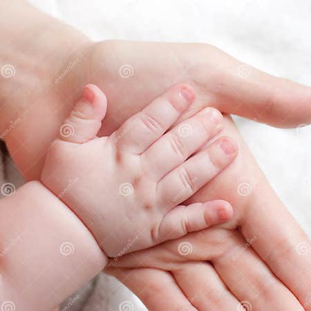 Tiny hand stock image. Image of palm, gentle, daughter - 8125759