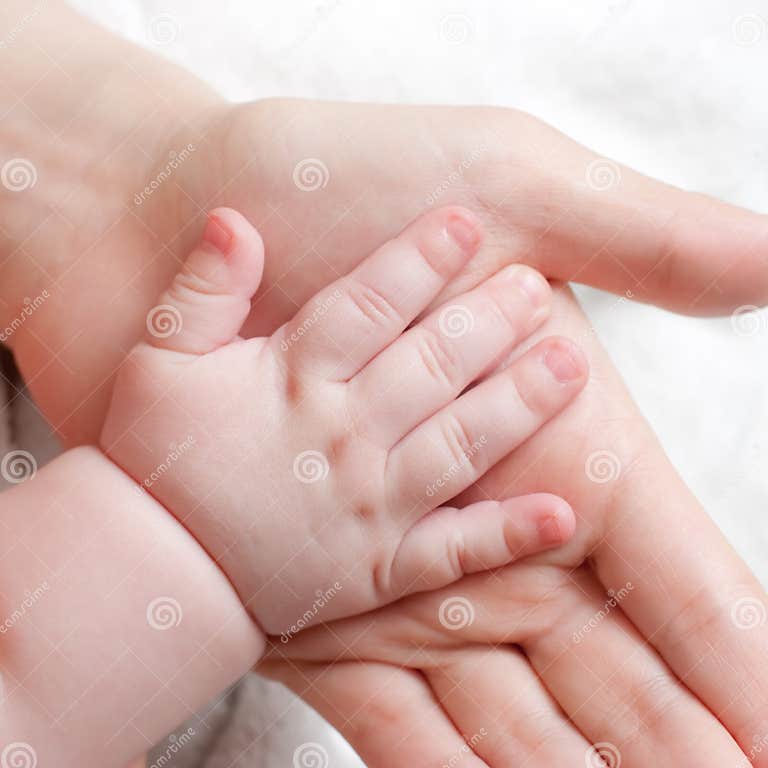 Tiny hand stock image. Image of palm, gentle, daughter - 8125759