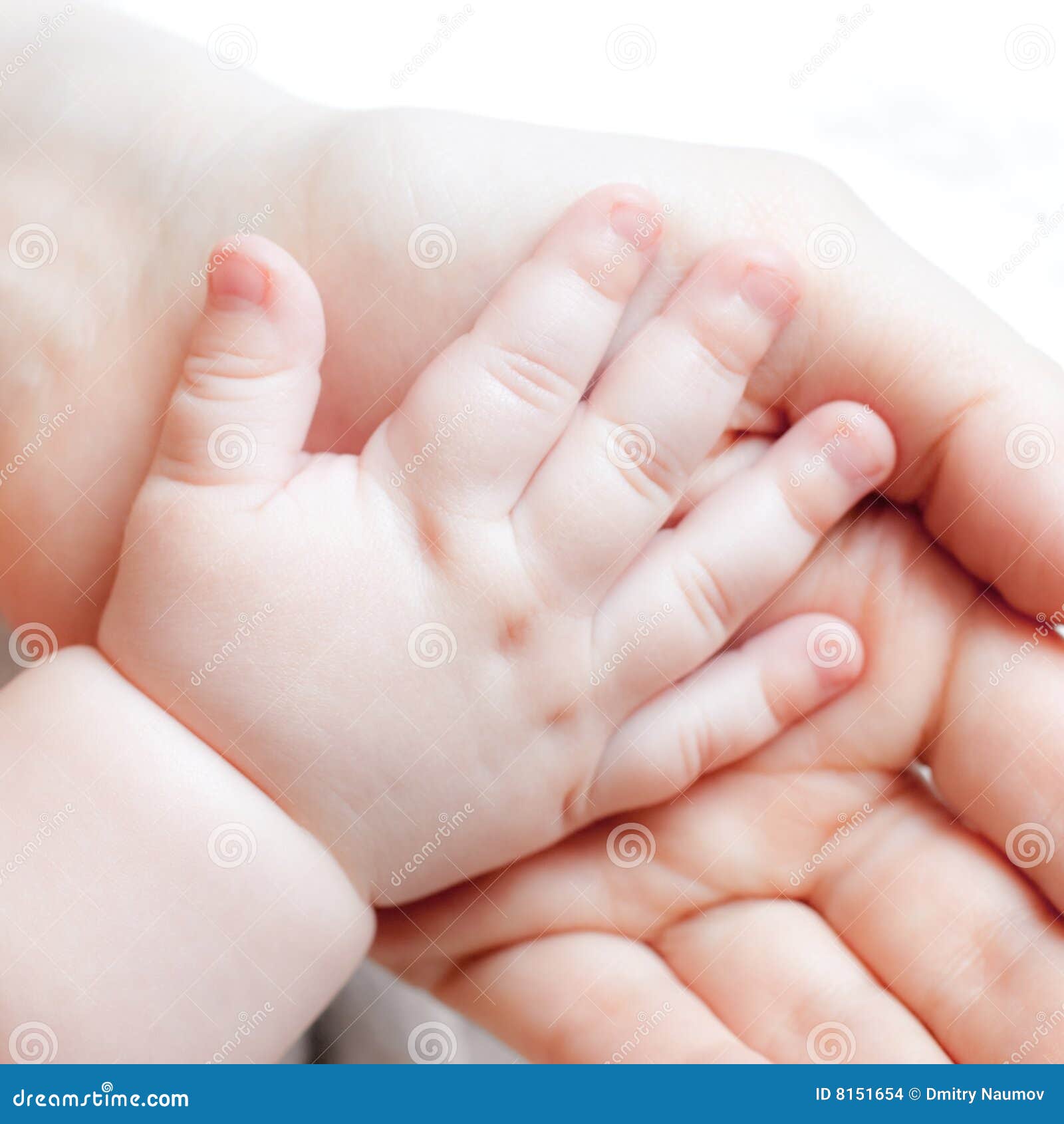 Tiny hand stock photo. Image of body, palm, little, beautiful - 8151654