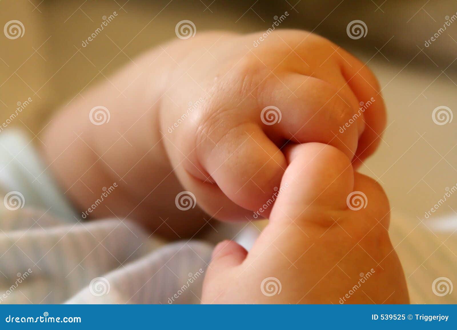 Tiny hands stock image. Image of warm, cradle, small, infancy - 539525