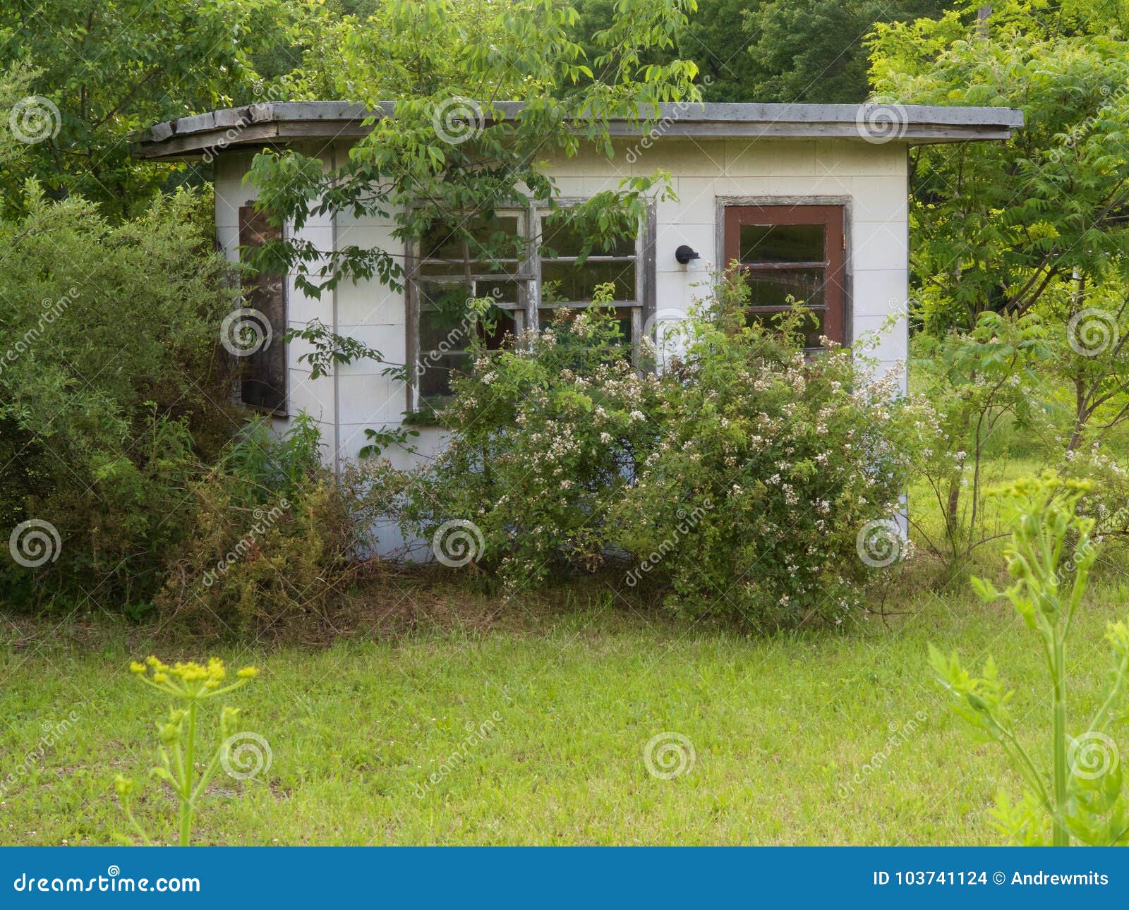 Tiny House in Country Setting Stock Photo - Image of setting, country ...
