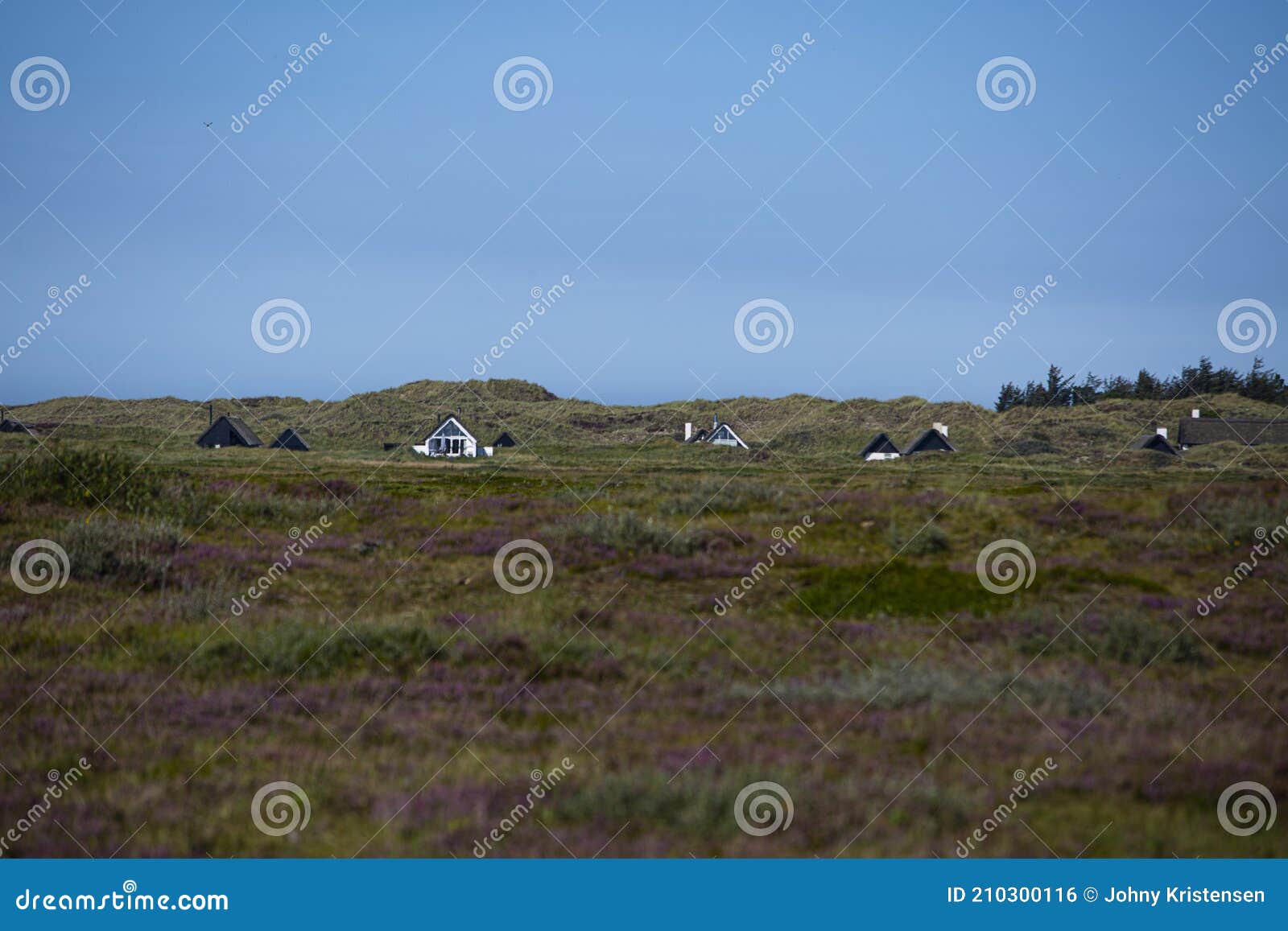 Tiny House in Large Green Field in Denmark Stock Photo - Image of ...