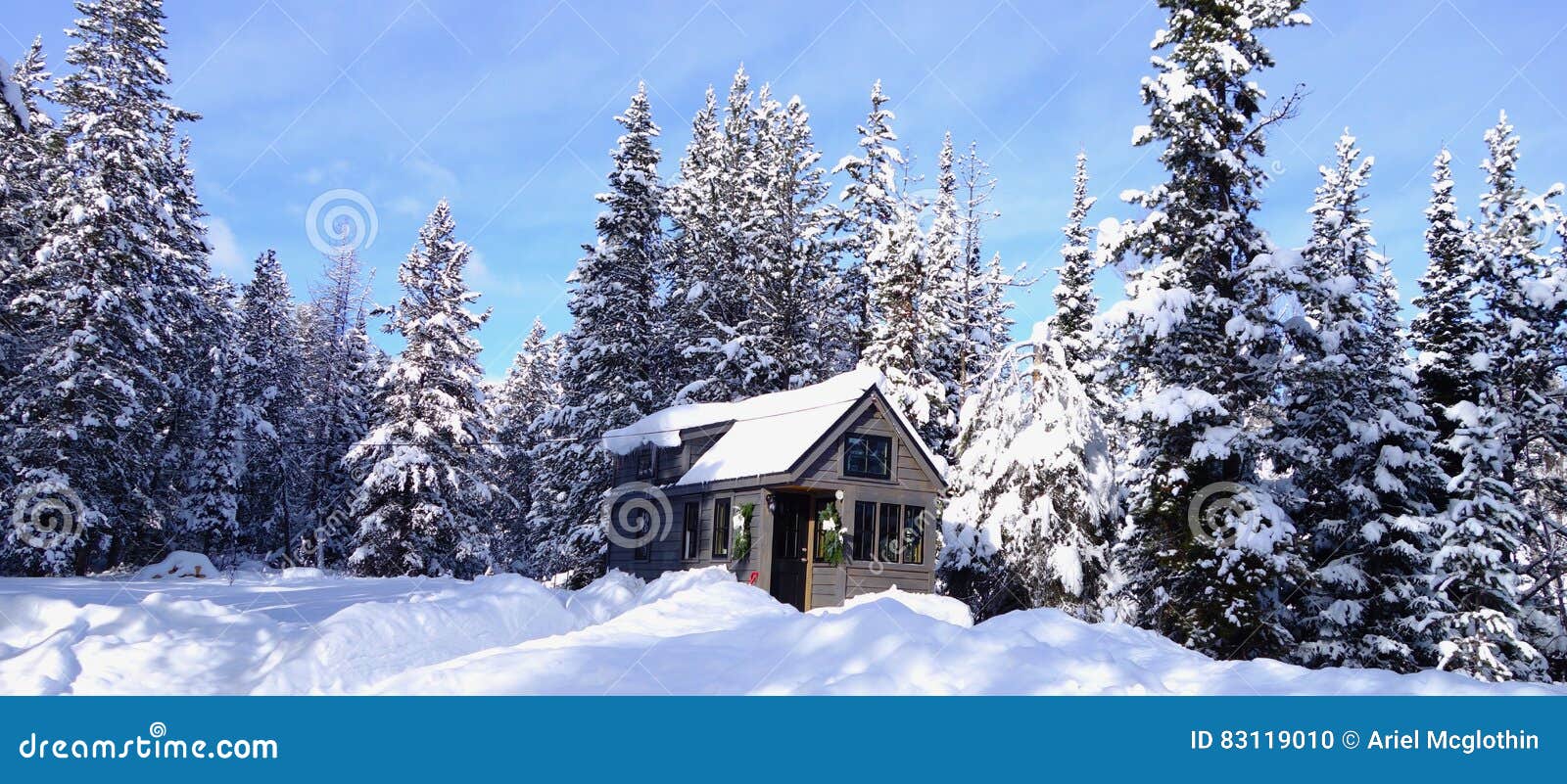 Tiny House in the Winter stock photo. Image of build - 83119010
