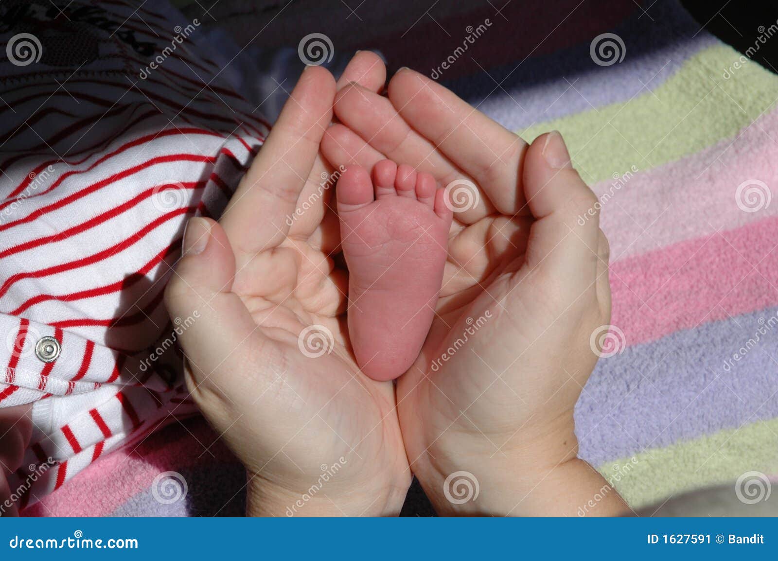 Tiny Infant Foot stock image. Image of held, perfectly - 1627591