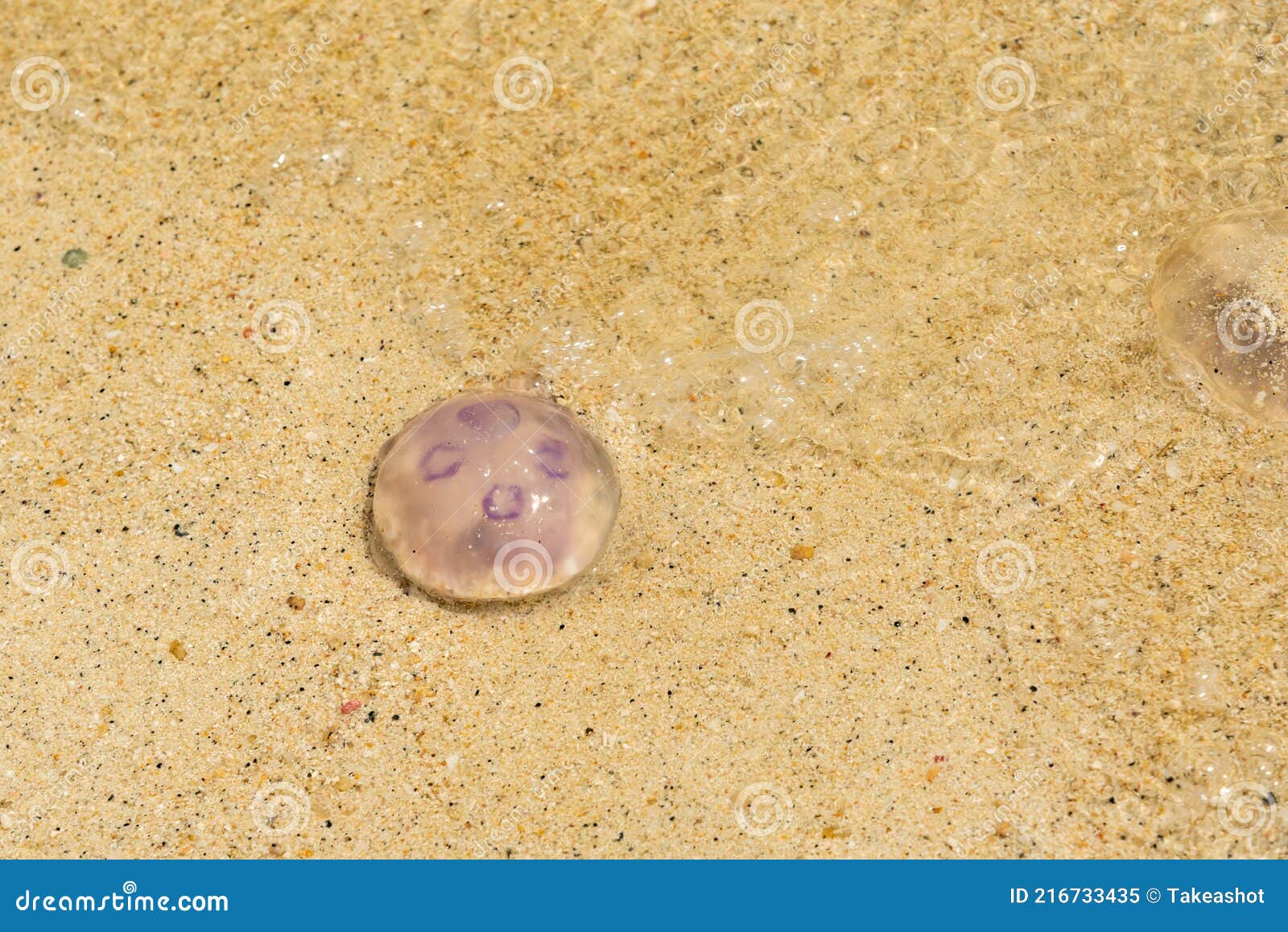 Jelly Wave Stock Photo | CartoonDealer.com #41989536