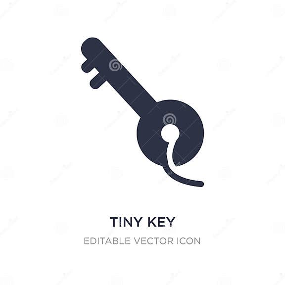 Tiny Key Icon on White Background. Simple Element Illustration from ...