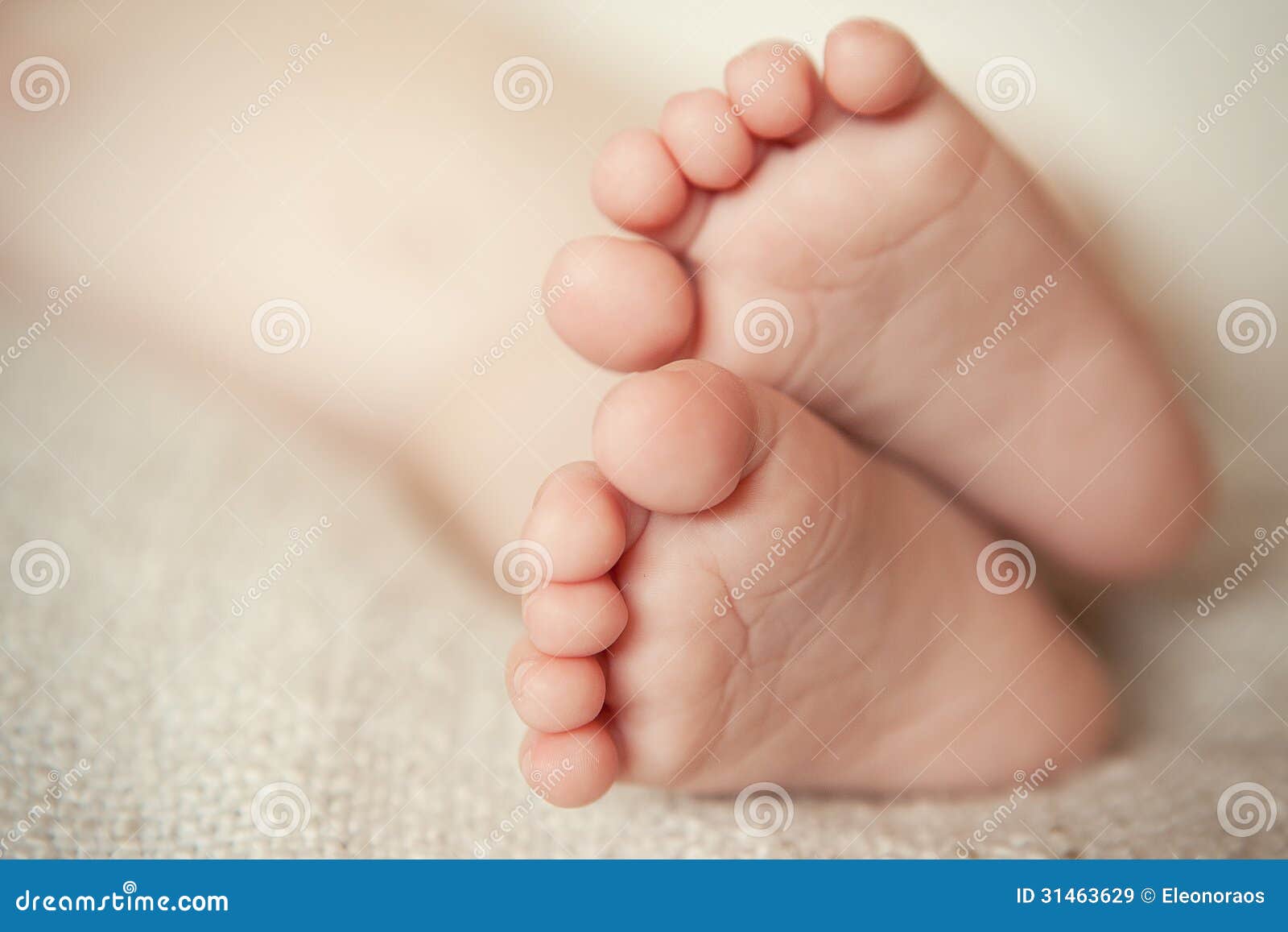 Tiny little feet stock image. Image of baby, lifestyle - 31463629