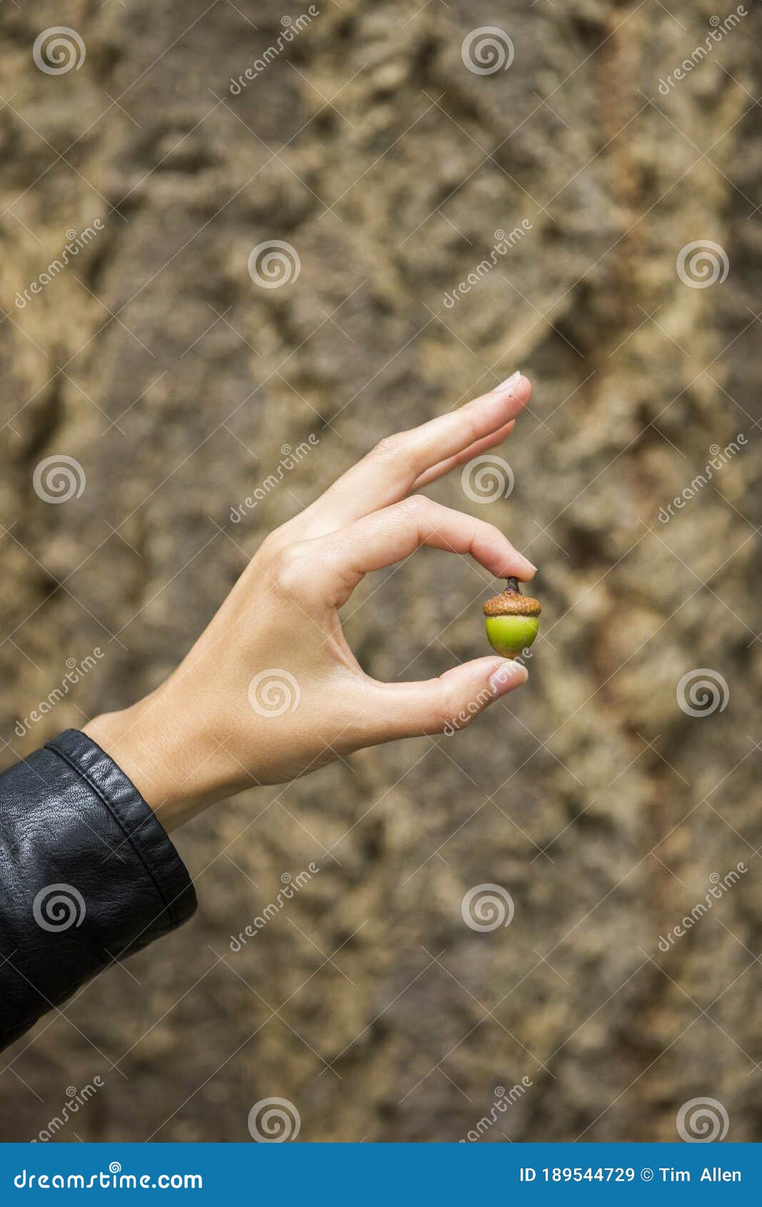 Tiny Mushroms Lumped Together in Small Clusters Stock Image - Image of ...