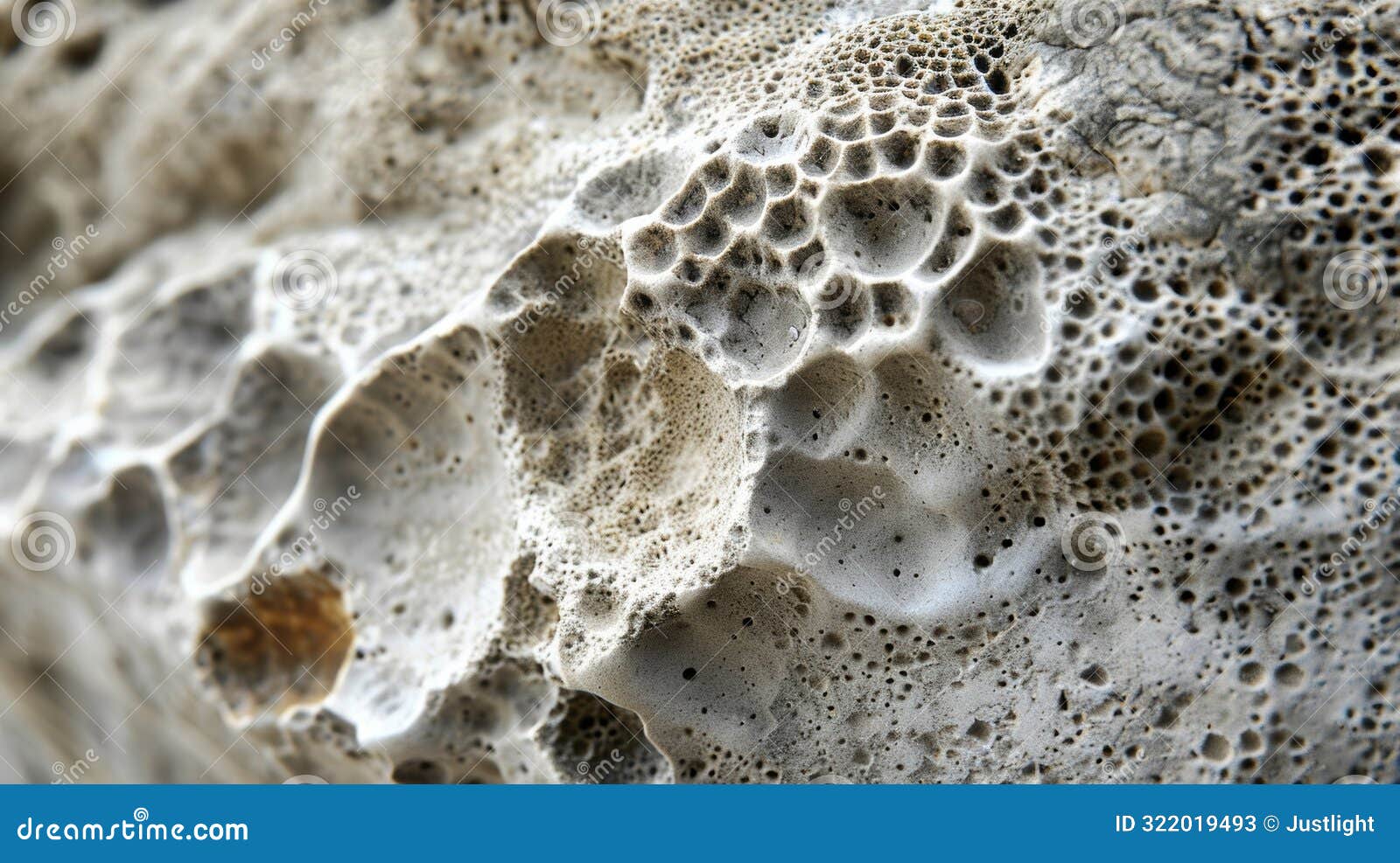 The Tiny Pores and Craters of Pumice Create a Rough and Porous Surface ...