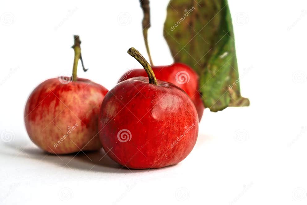 Tiny Red Apples stock photo. Image of background, isolated - 84414592