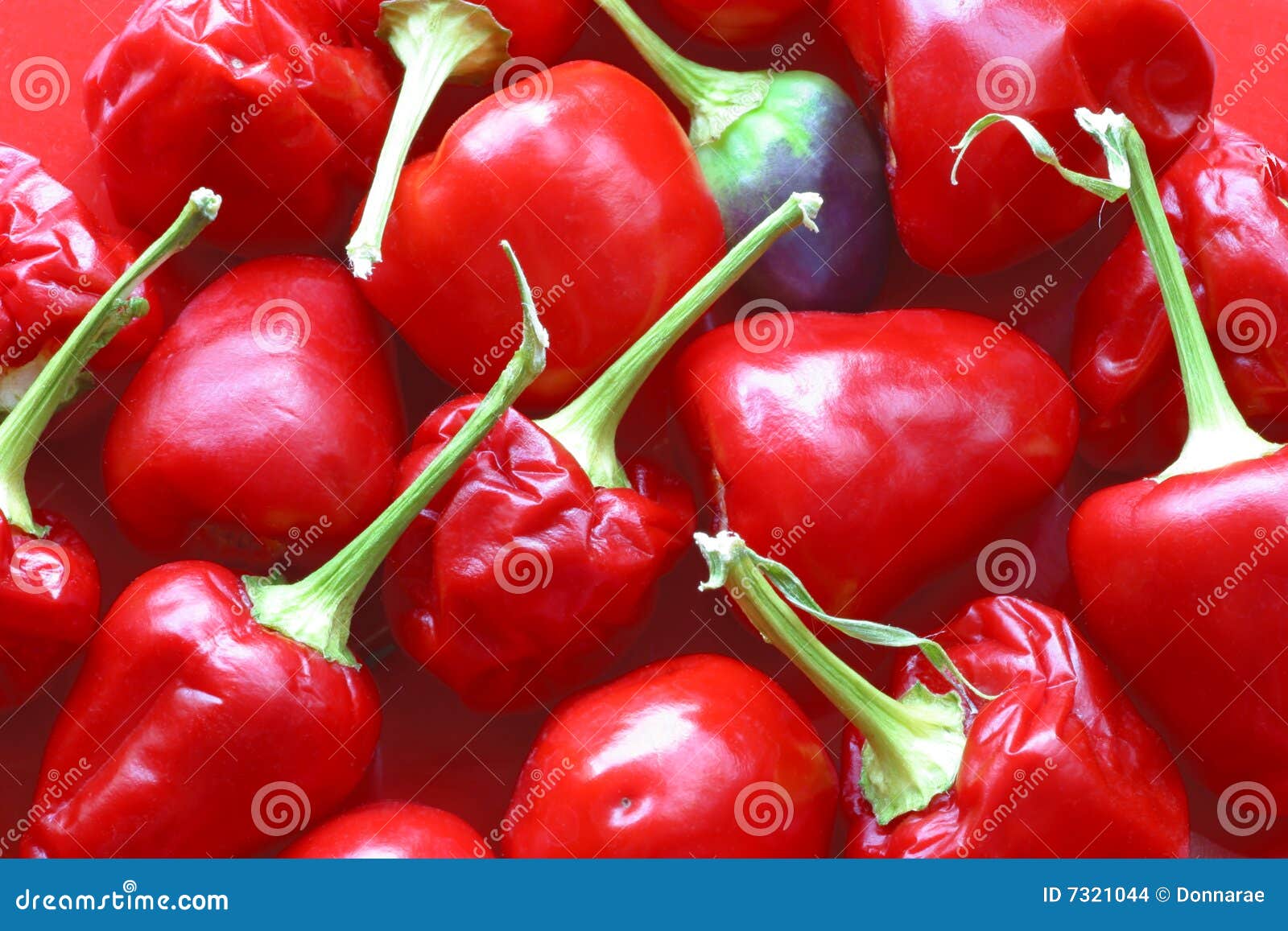 Tiny Red Hot Chili Peppers, Stock Photo - Image of drying, chili: 7321044