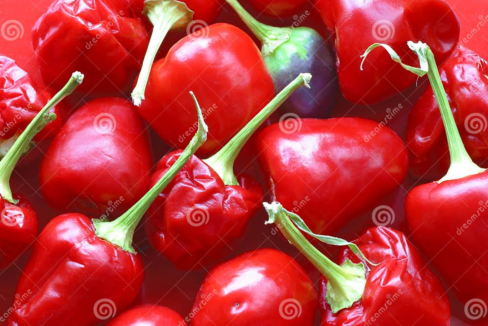 Tiny Red Hot Chili Peppers, Stock Photo - Image of drying, chili: 7321044
