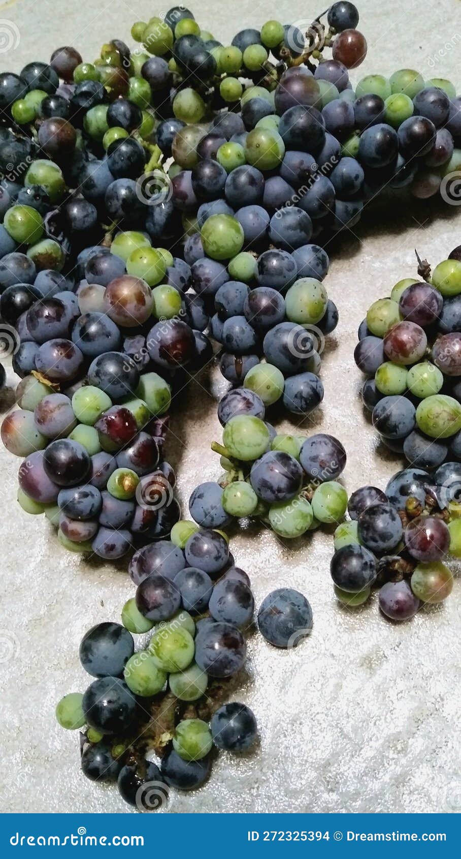 Tiny Red-Master Grape Clusters Stock Photo - Image of details, clusters ...