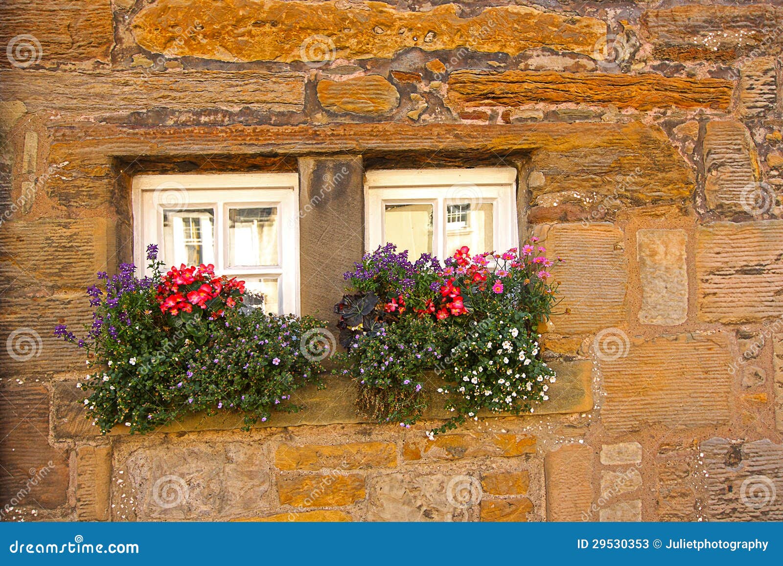 Tiny Scottish Windows with Flowers Stock Image - Image of decorative ...