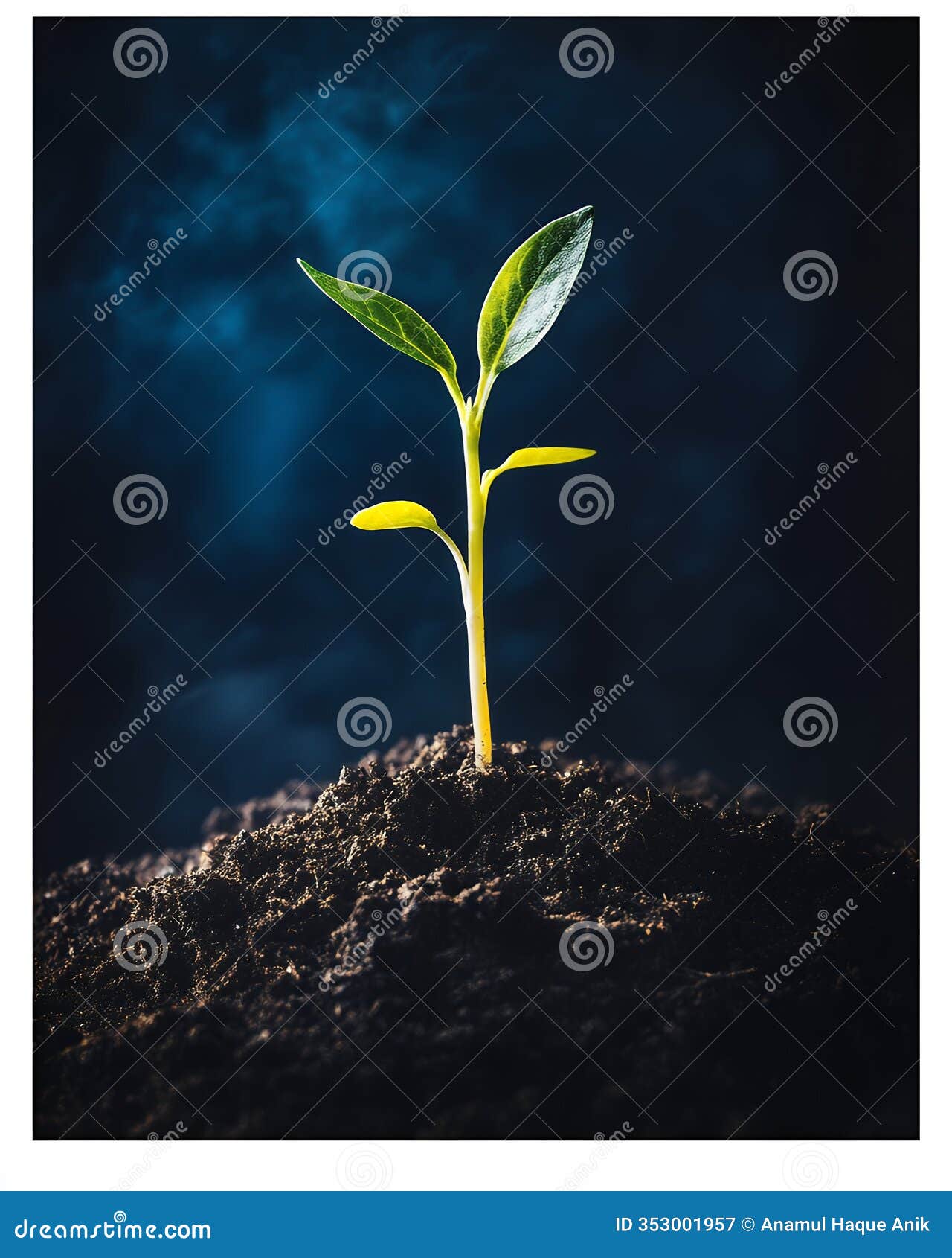Growth And Nature With A Woman Pointing Towards A Sprouting Plant And ...