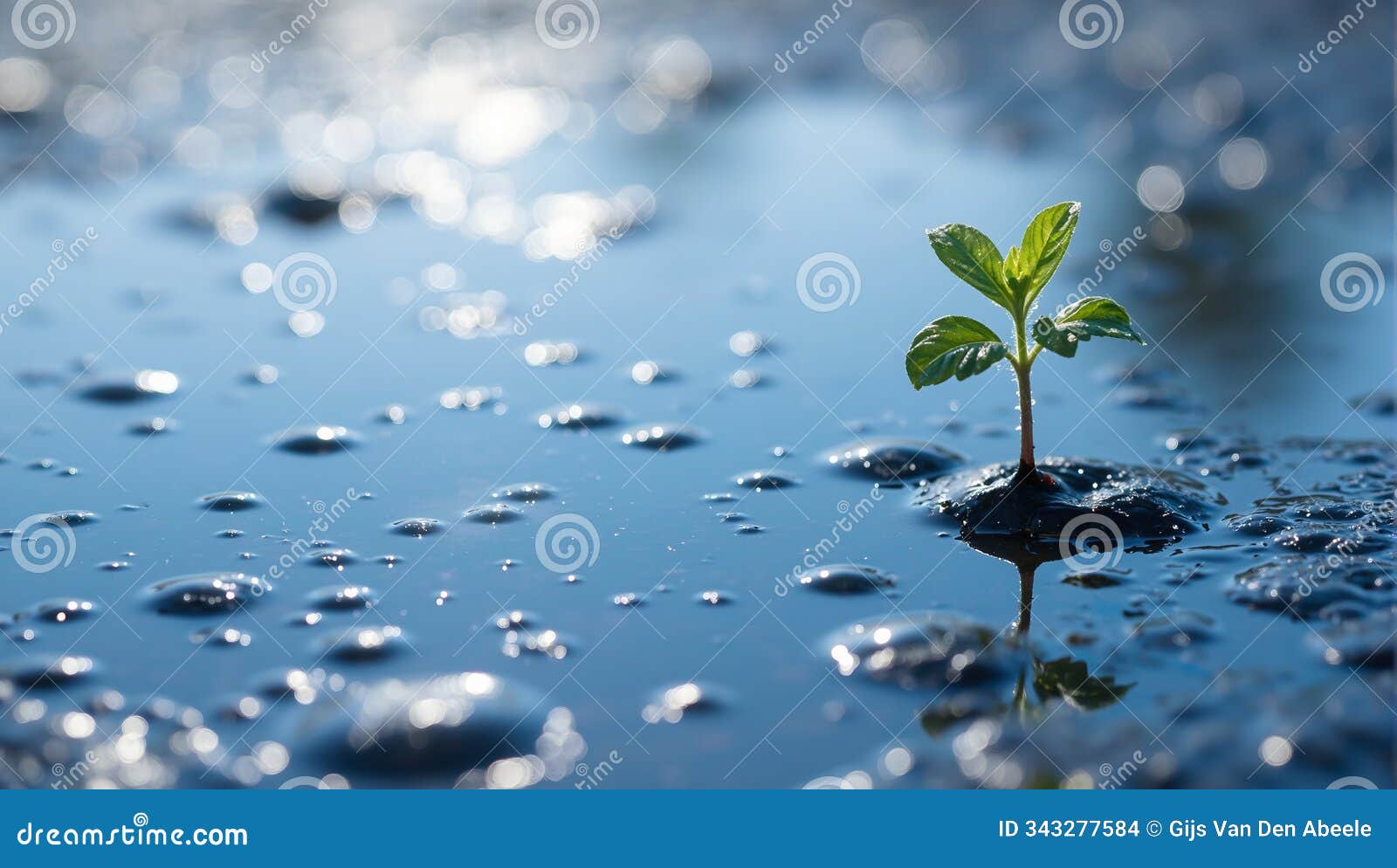 Tiny Sprout, Emerging Seedling, Tender Leaves Push Through The Earth ...