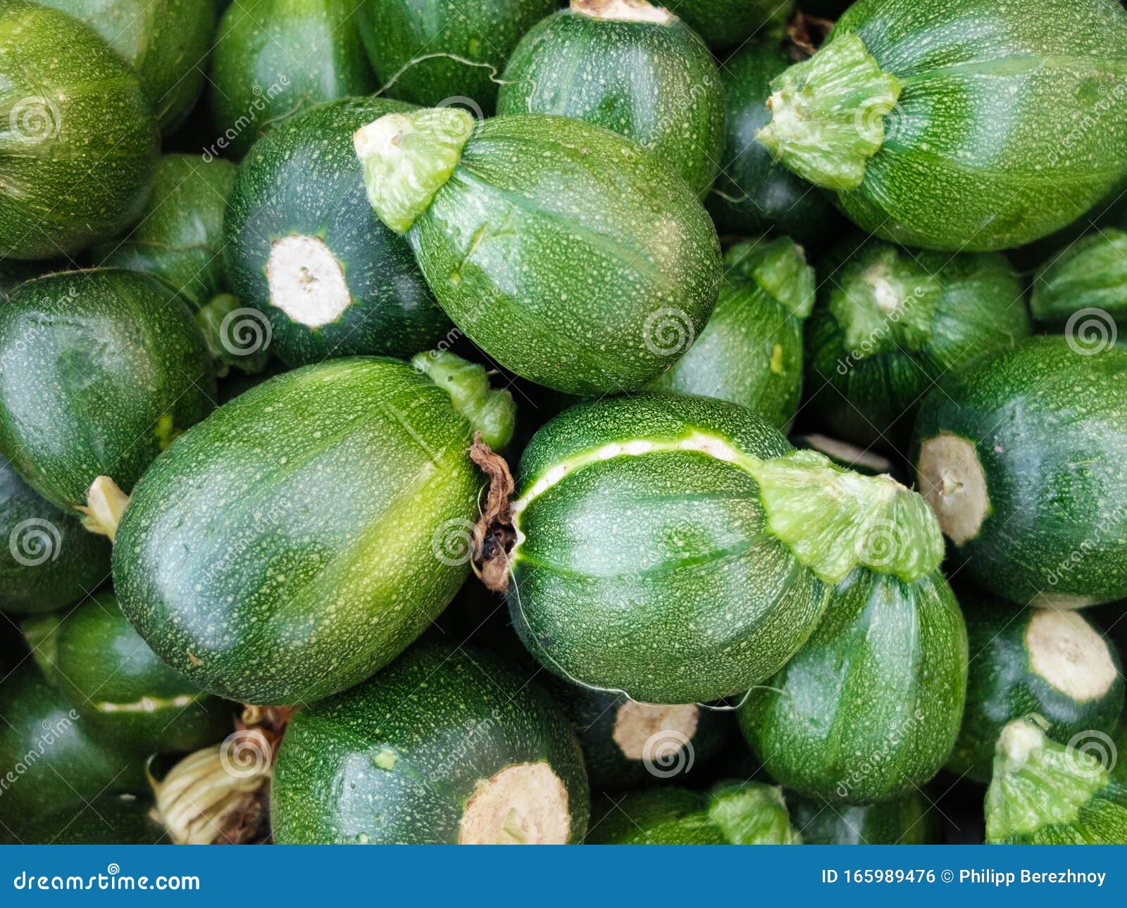 Tiny Squashes on the Market. Green Zucchini Stock Photo - Image of crop ...