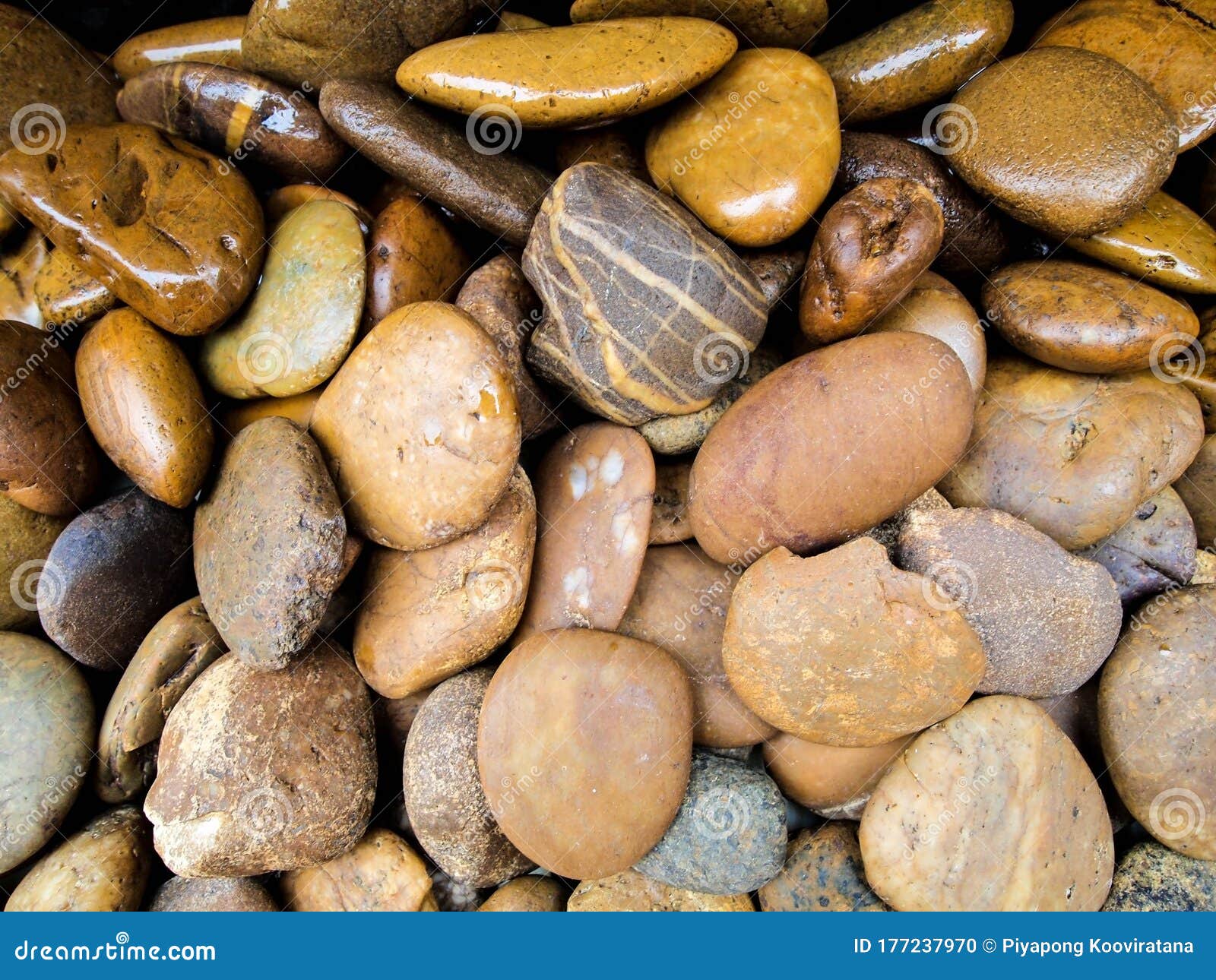 Tiny Stones Gravel Texture Background, Wet Stone Floor Stock Photo ...
