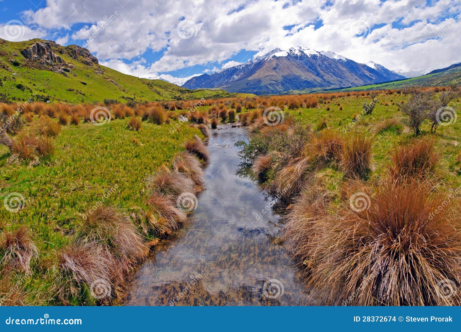 Tiny Stream through a Mountain Meadow Stock Photo - Image of scenic ...