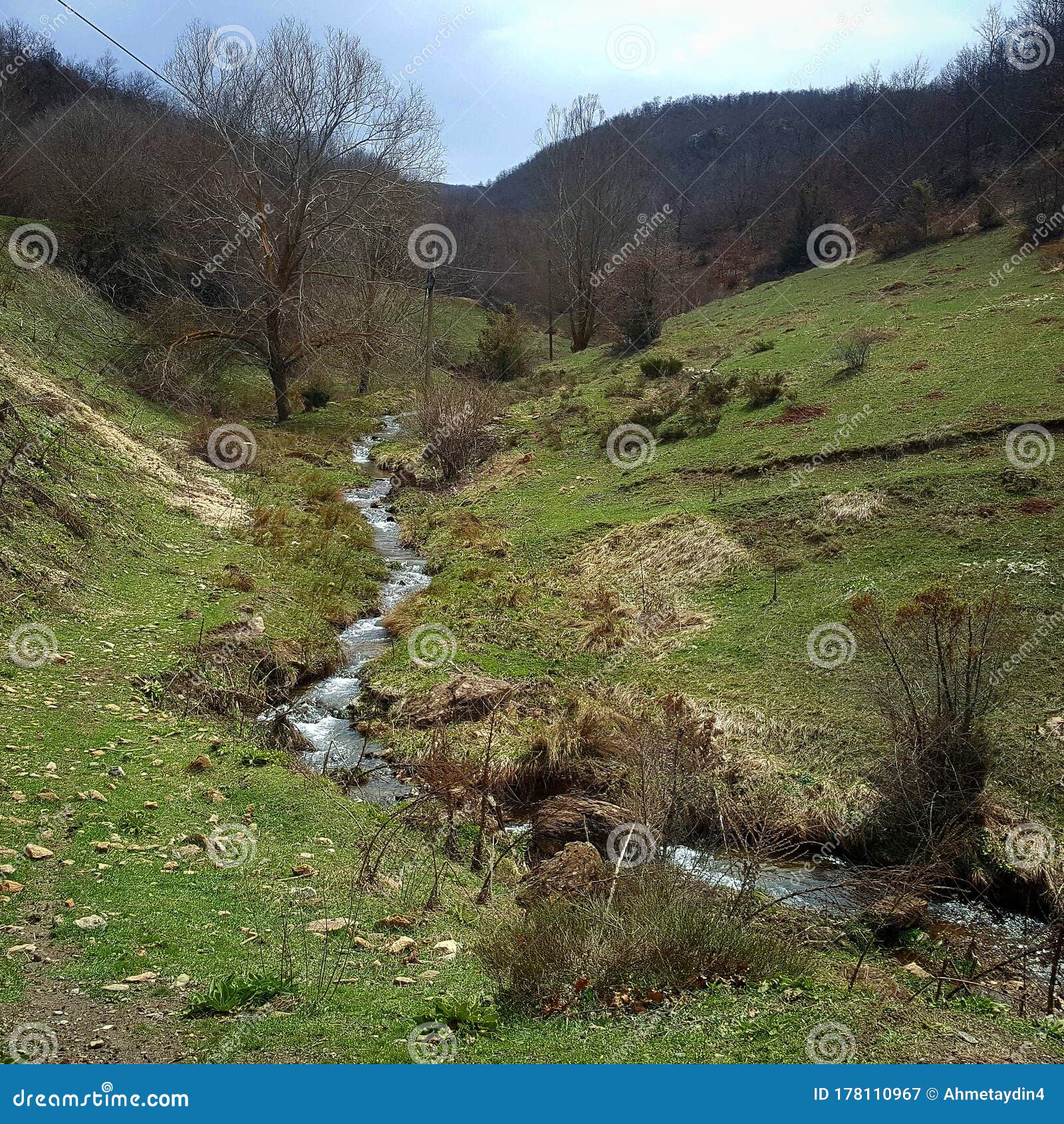 Tiny Stream In A Dense Wood Royalty-Free Stock Photo | CartoonDealer ...