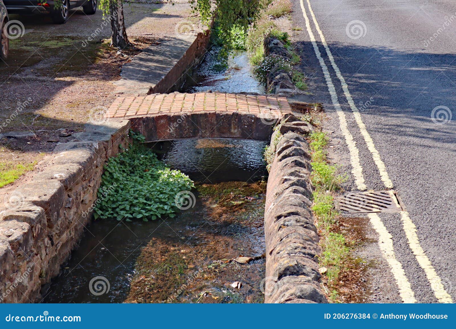 A Tiny Stream Runs through the Trees and Under a Small Bridge in an ...