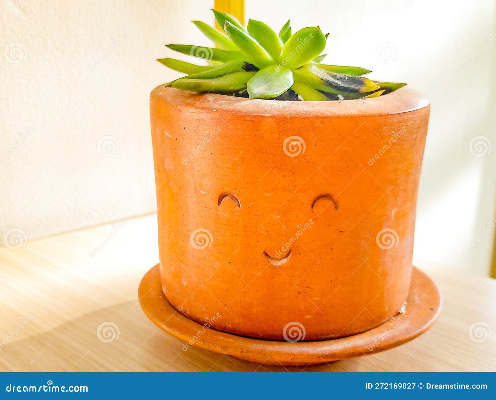 Tiny Succulent in Orange Smiling Pot Stock Image - Image of plant ...