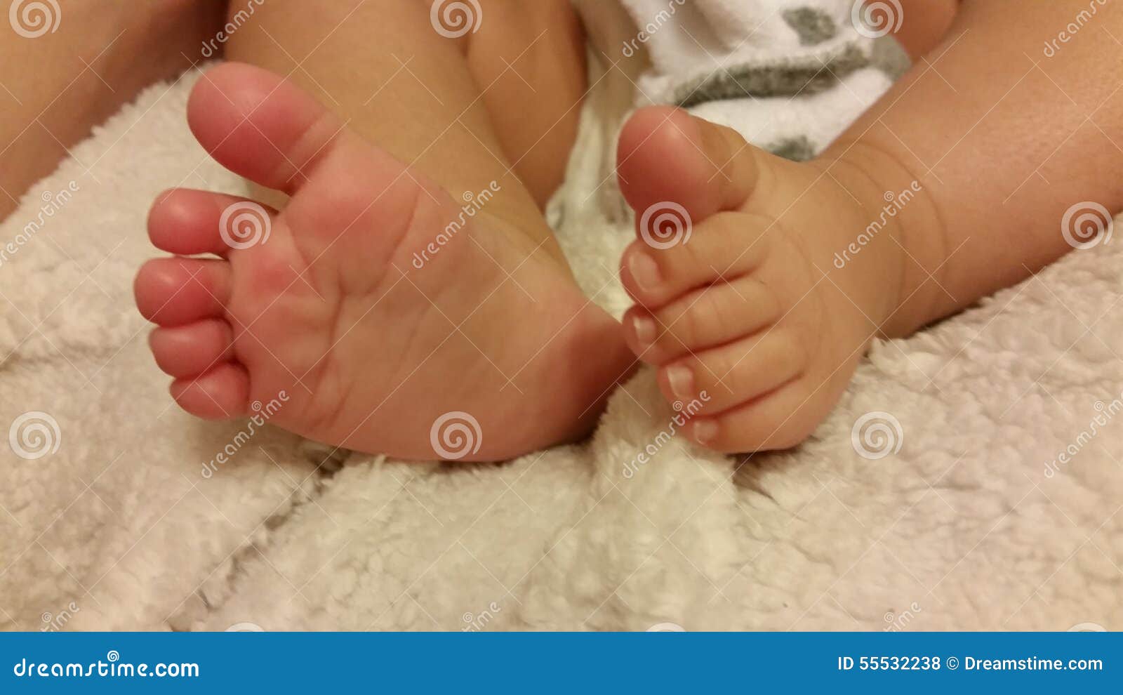 Tiny toes stock photo. Image of toes, baby, feet, bare - 55532238