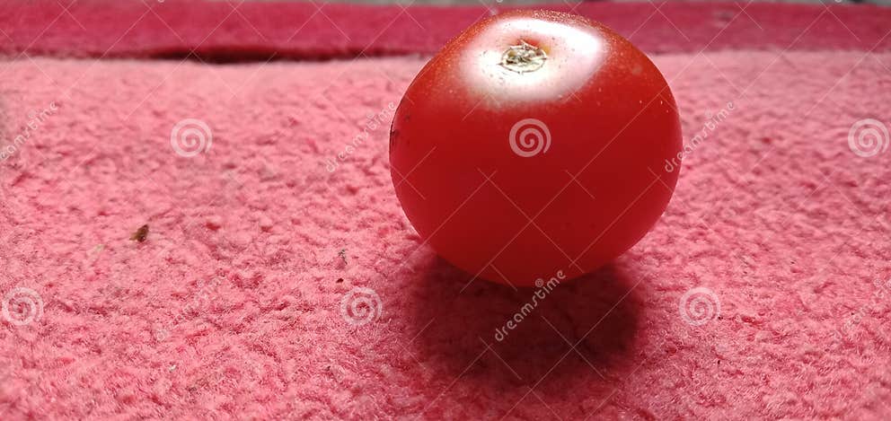 These Tiny Tomatoes Looked Very Fresh Stock Photo - Image of tiny ...