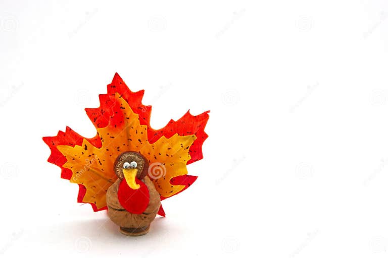 Tiny Turkey for Thanksgiving Stock Photo - Image of acorn, humorous ...