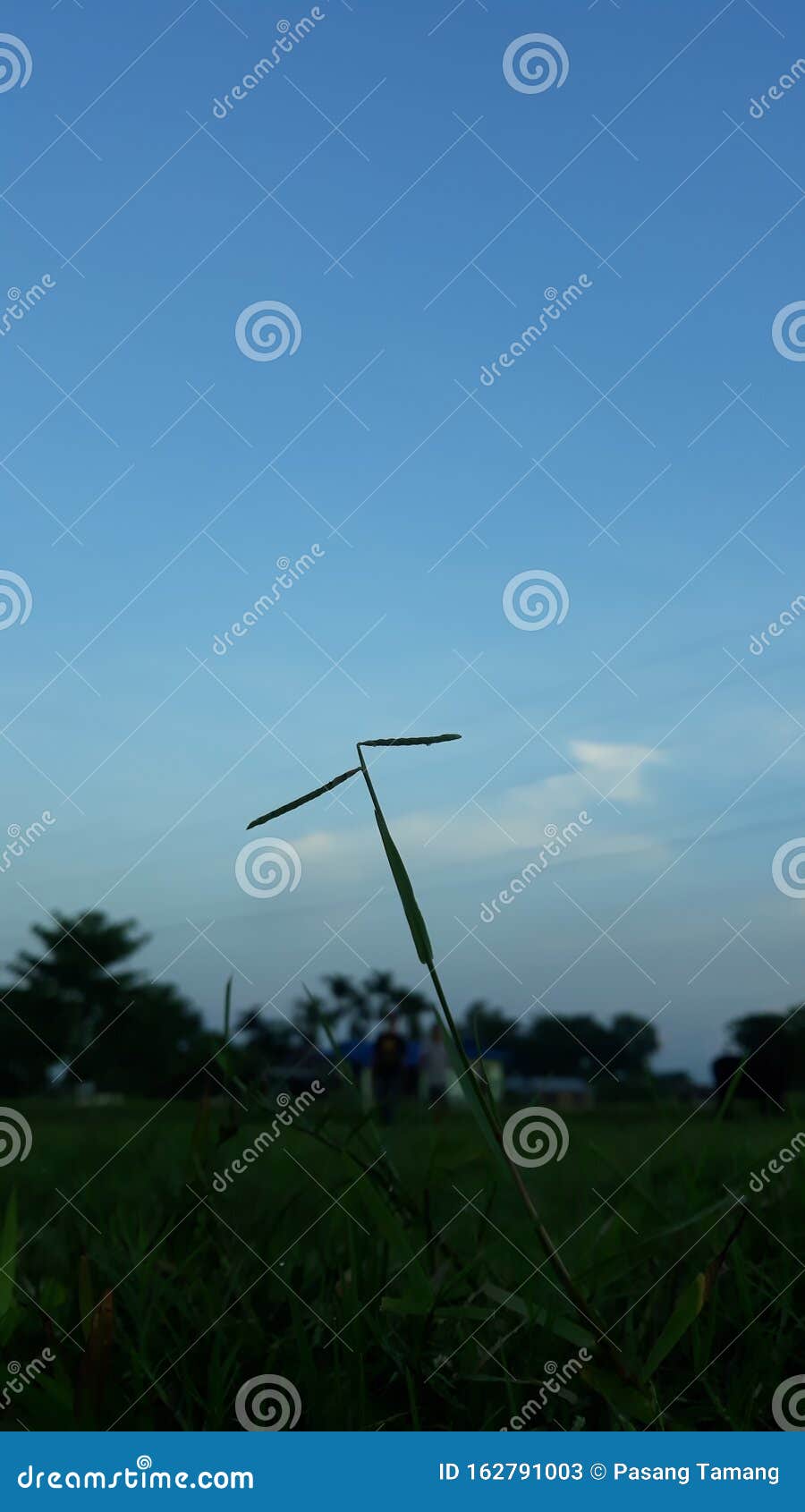 Tiny view Huge Slight stock image. Image of nature, tiny - 162791003