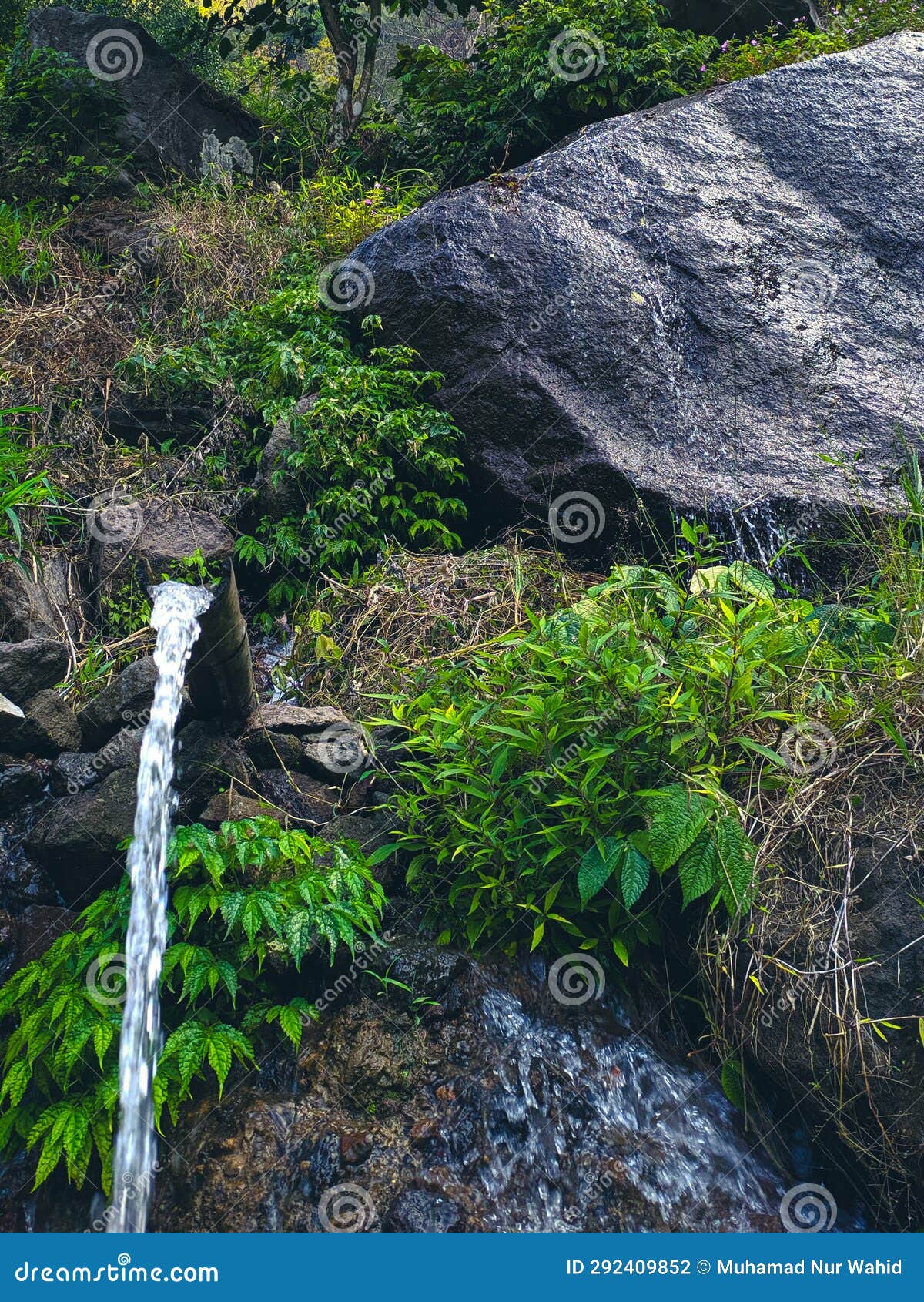 Tiny Waterfall Mountain Spring Water Flowing through Rocks Stock Photo ...