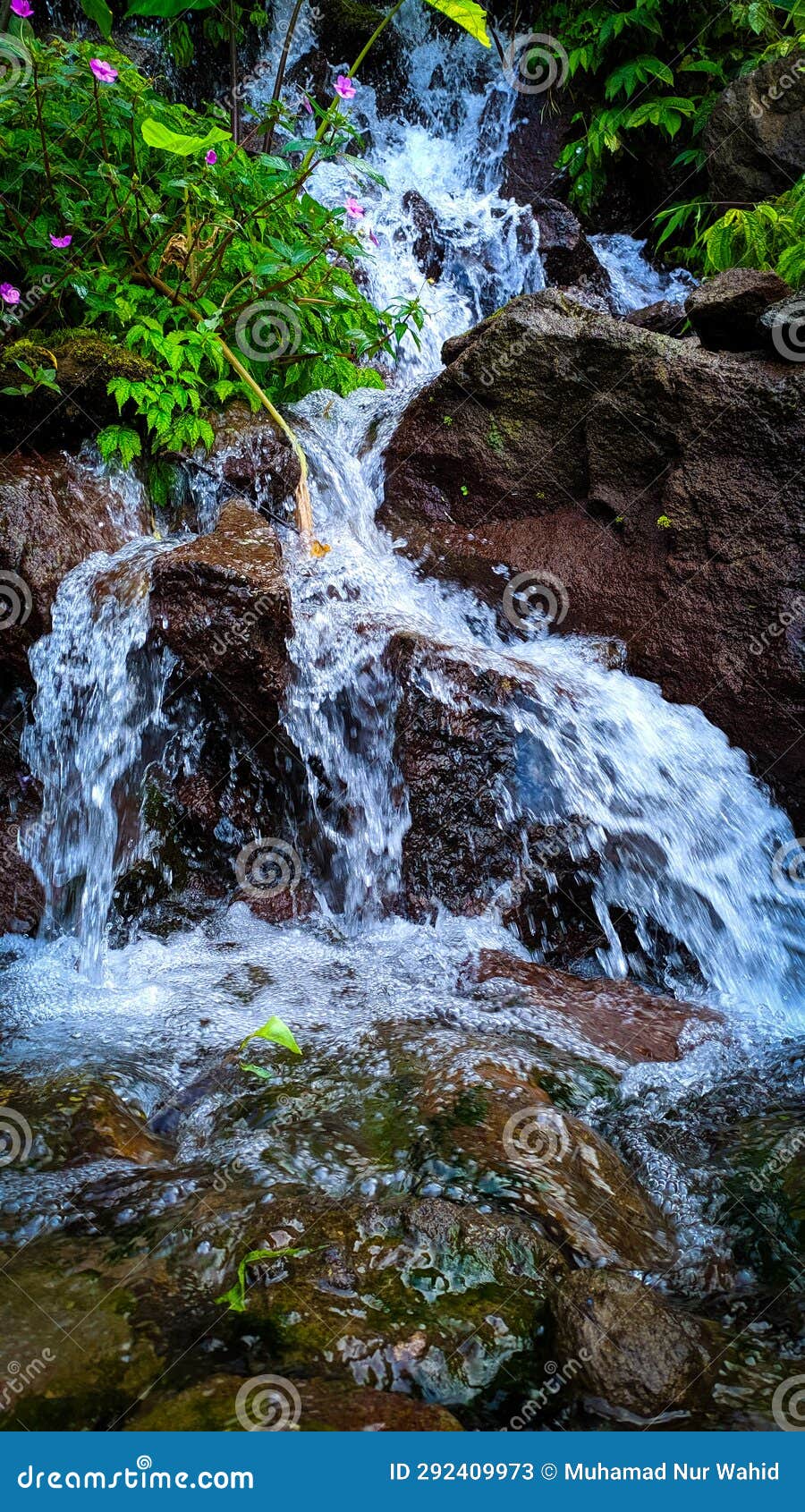 Tiny Waterfall Mountain Spring Water Flowing through Rocks Stock Image ...