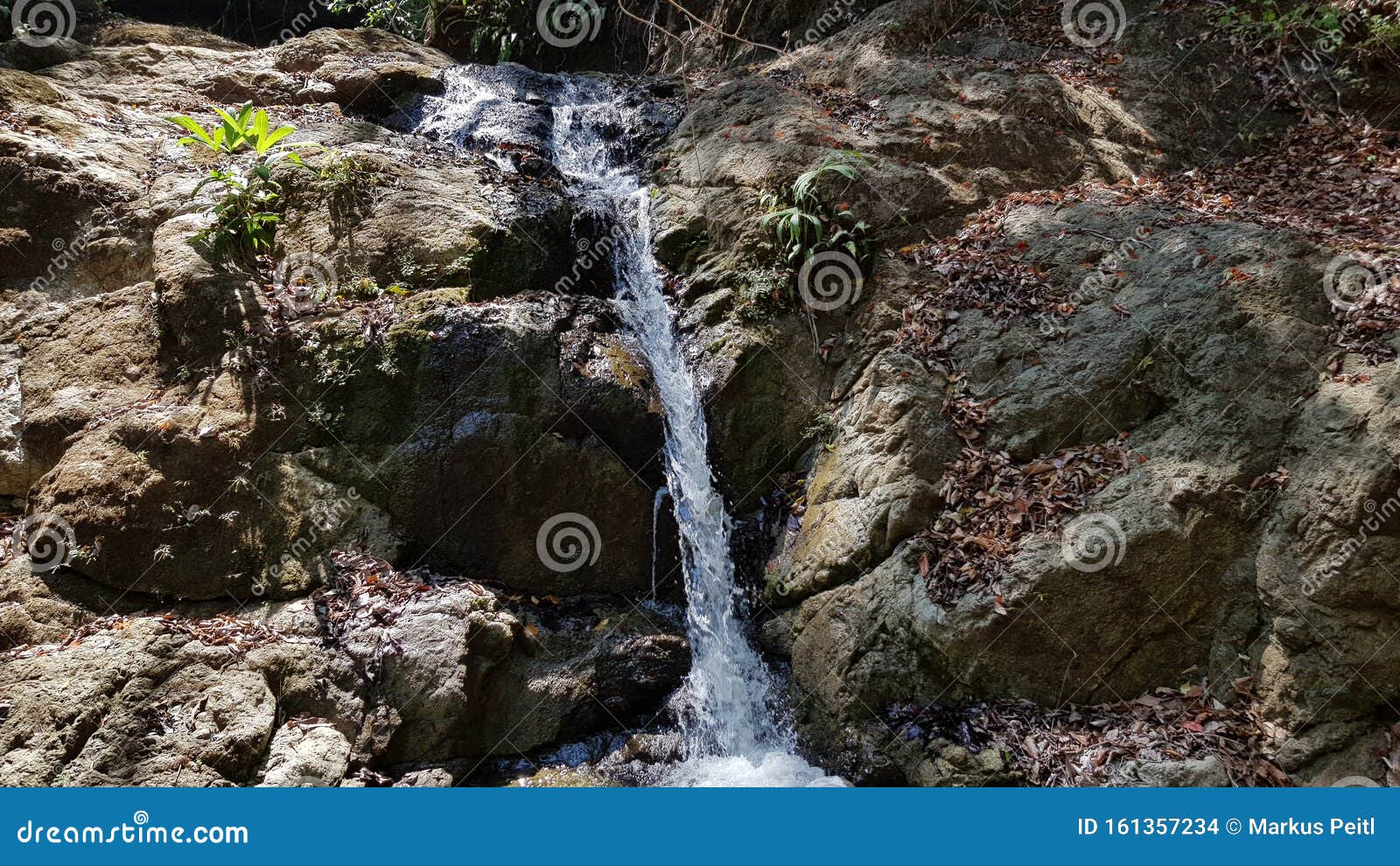 Tiny Waterfall River on Rocks Costa Rica Stock Photo - Image of nature ...