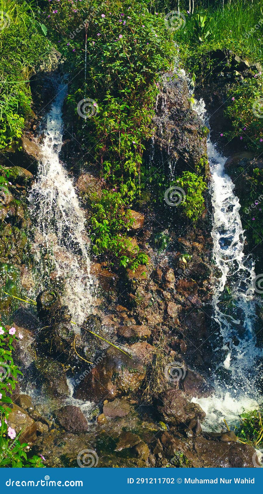 Tiny Waterfalls Mountain Spring Water Stock Photo - Image of fresh ...