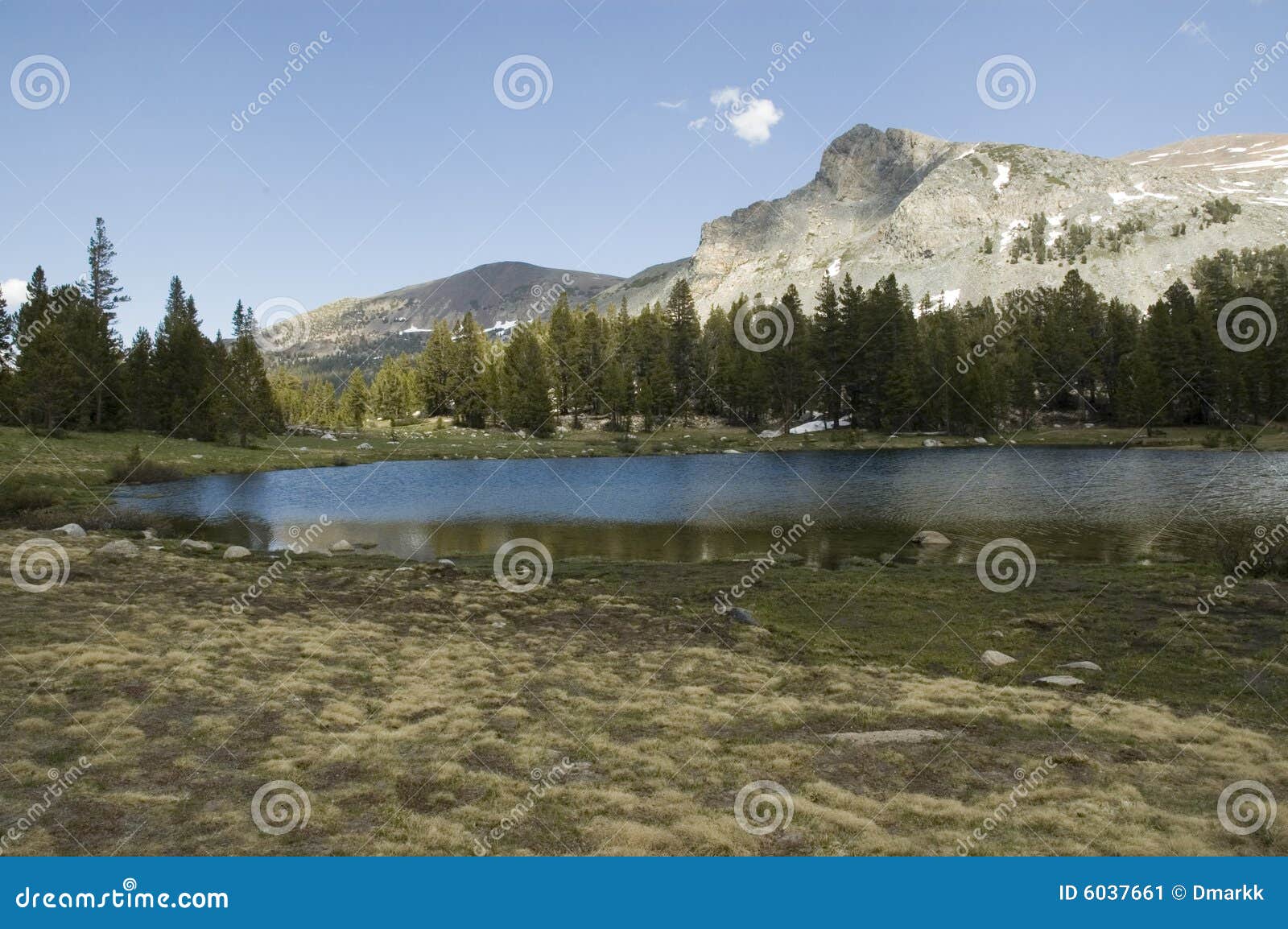 Tioga Lake stock image. Image of park, vacation, national - 6037661