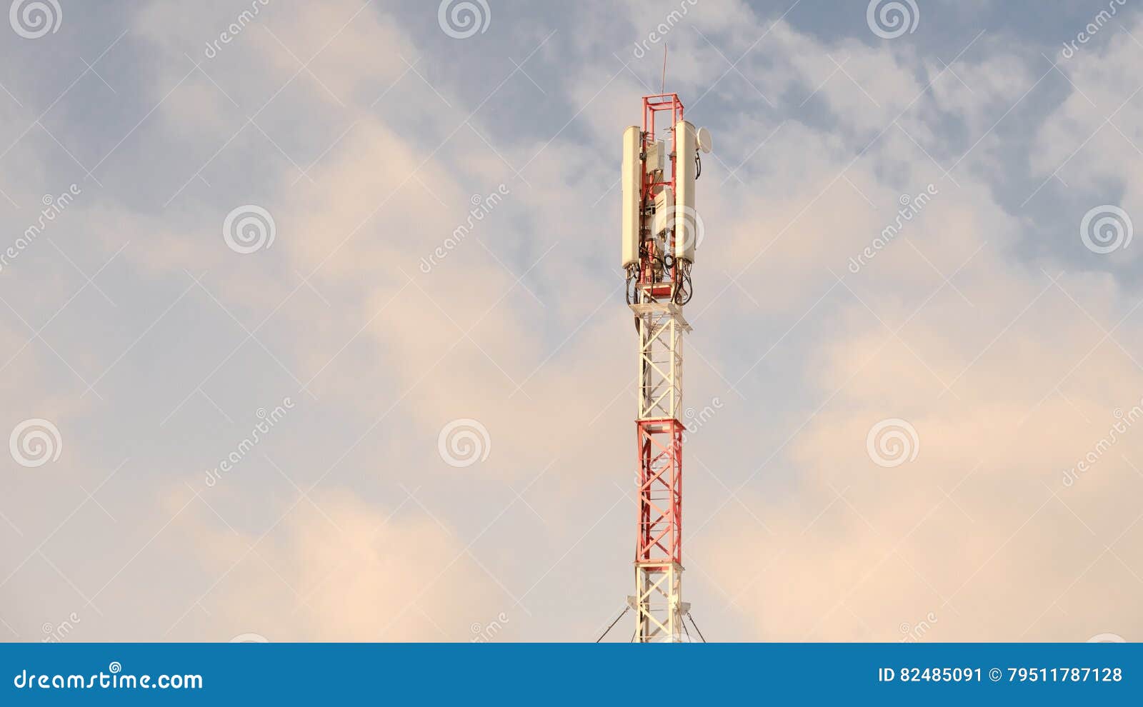 The Tip of the Antenna Sensors 2 Stock Image - Image of color, head ...
