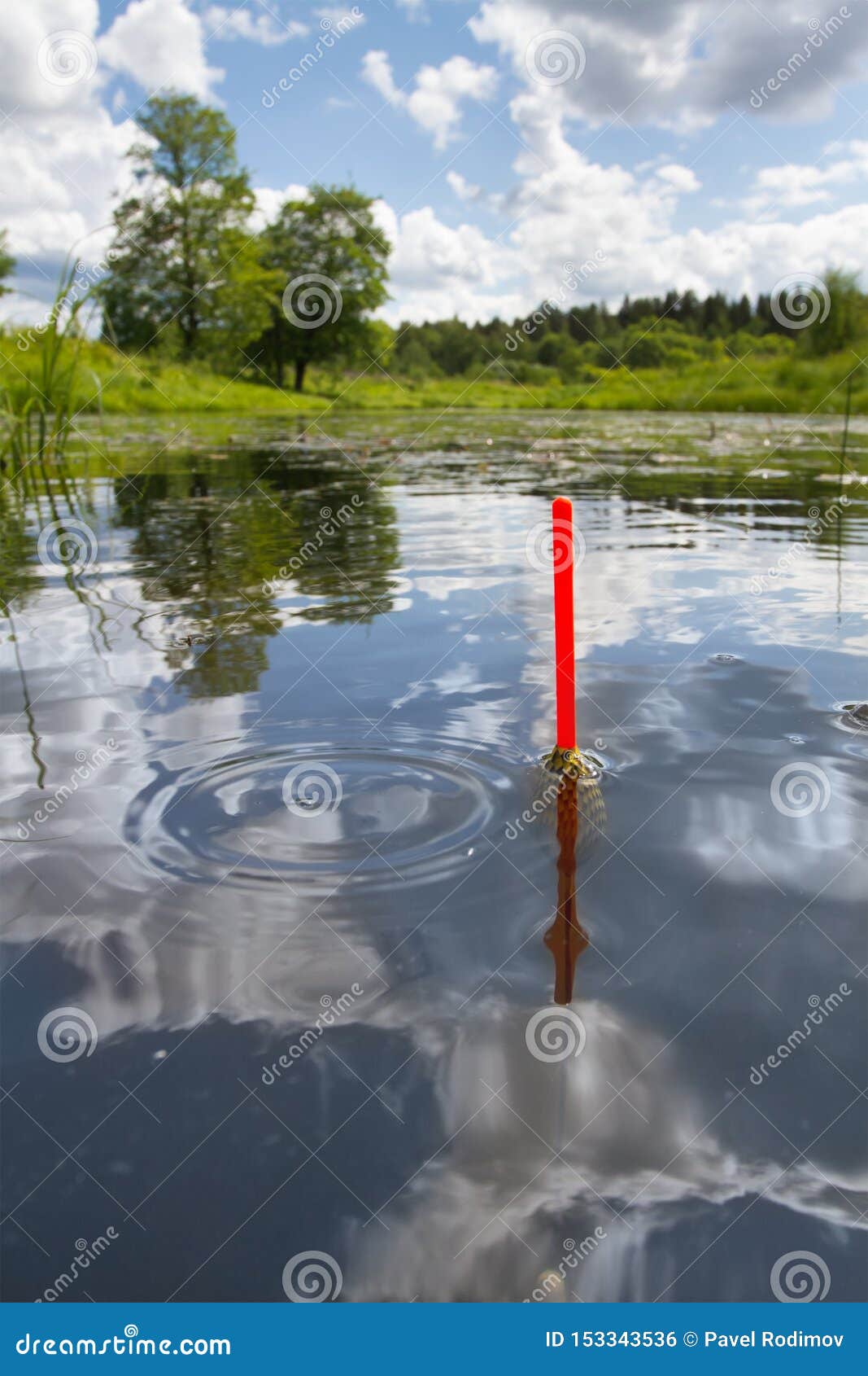 Tip of Fishing Float Sits Vertically in the Water of the Lake Stock ...