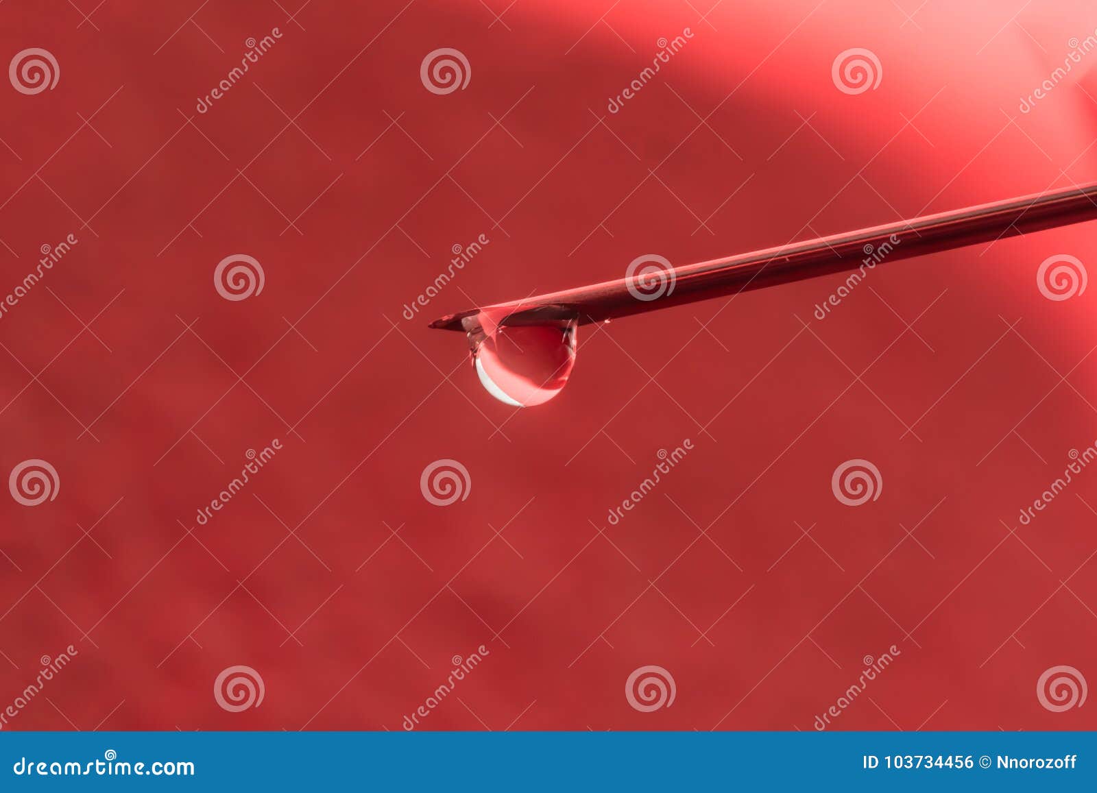 On the Tip of a Needle from a Syringe Drop of Liquid Stock Photo ...