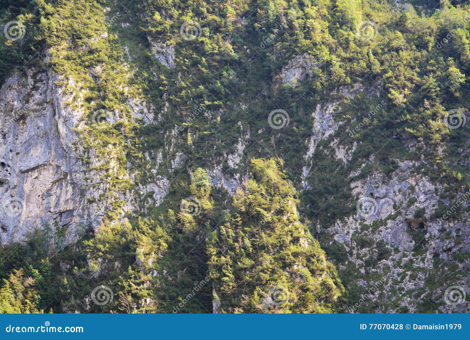 Tipi Di Rocce in Trento, Italia Fotografia Stock - Immagine di tipi ...