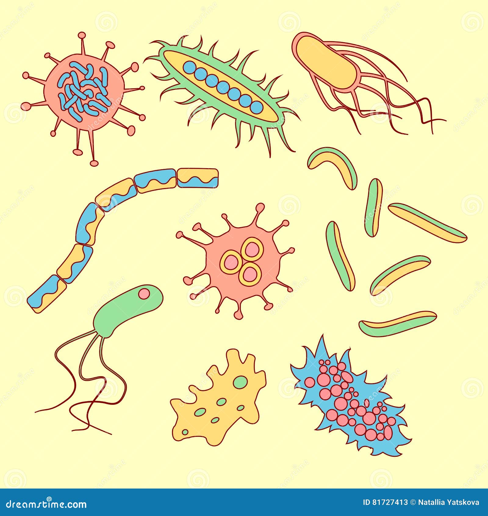 Tipi Differenti Dei Batteri Illustrazione Vettoriale - Illustrazione di ...
